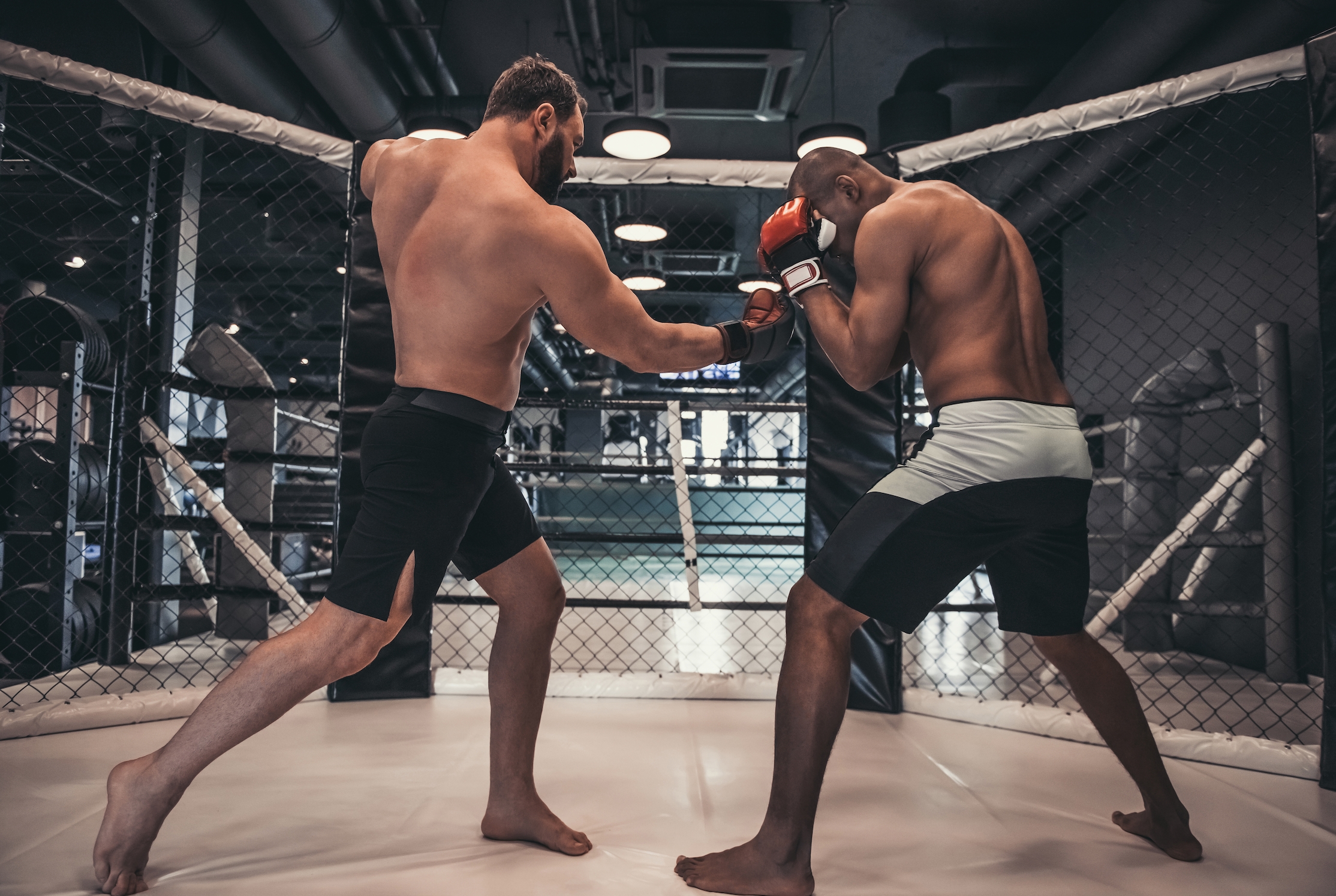 Cops Broke Up A Fight Club In The Bronx With Over 200 People This ...