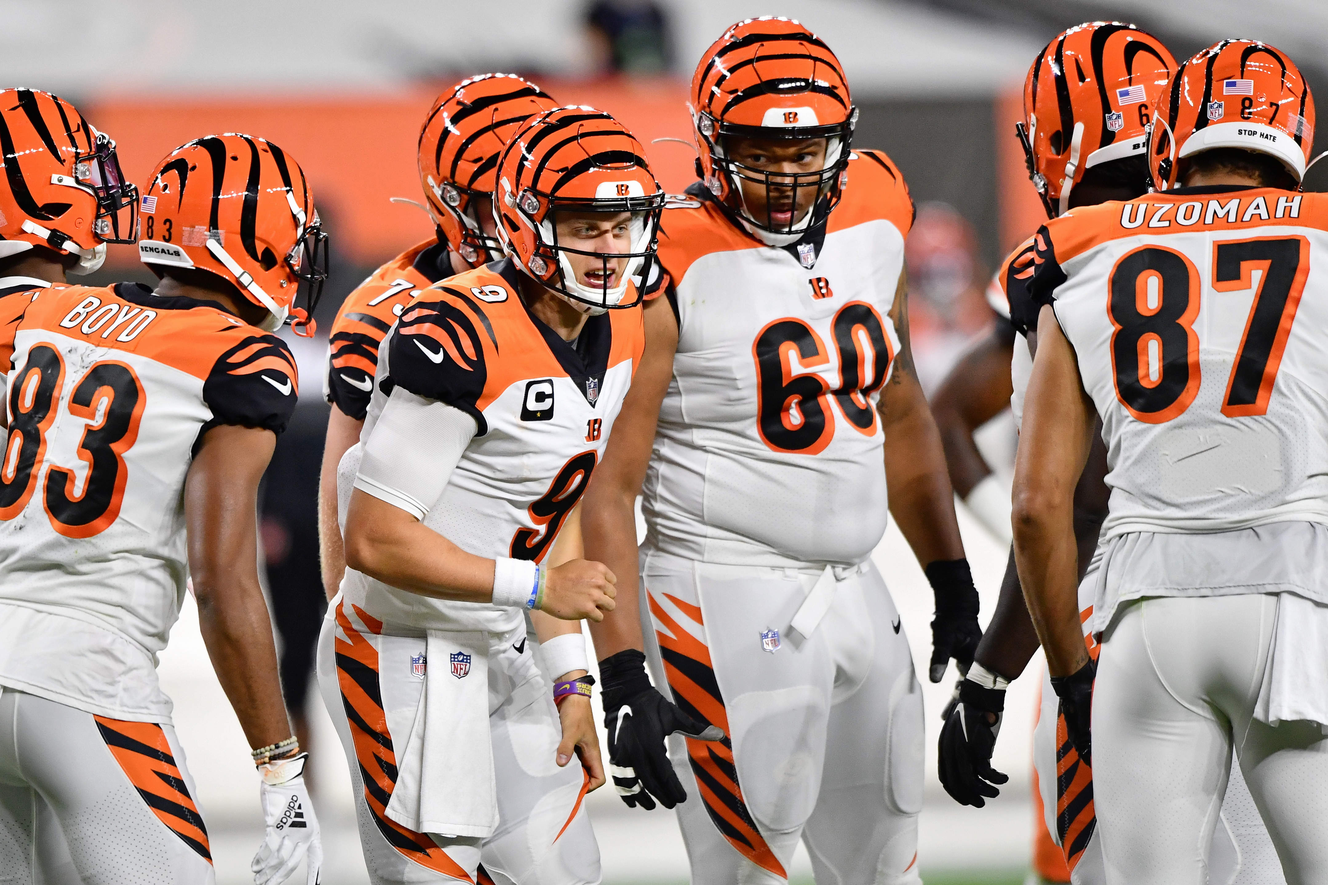 The Bengals' Culture Is Reportedly Worse Than A College Team, With ...