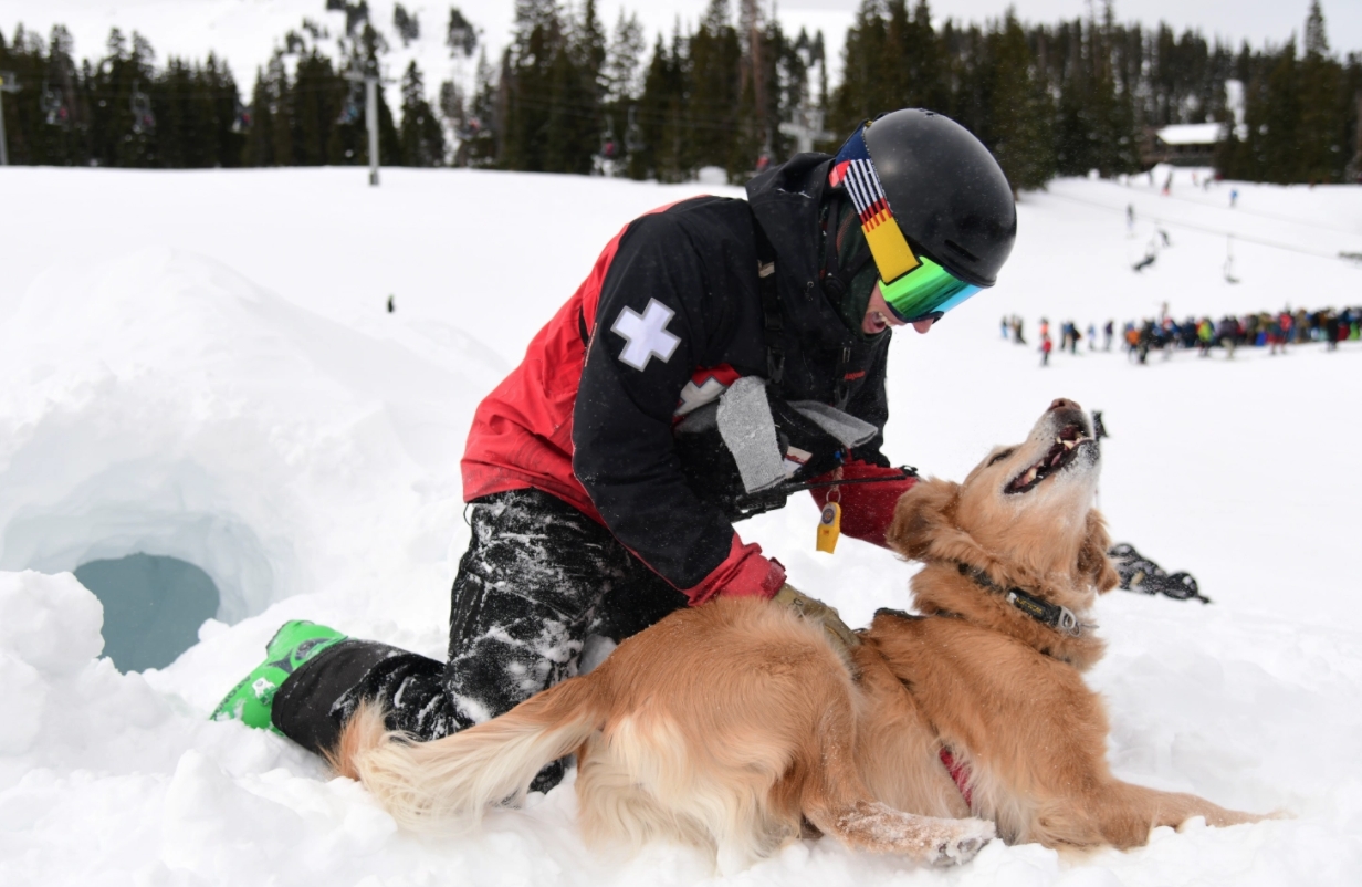 Ski Patrol Is Melting Down After Being Forced To Shave Their Beards ...