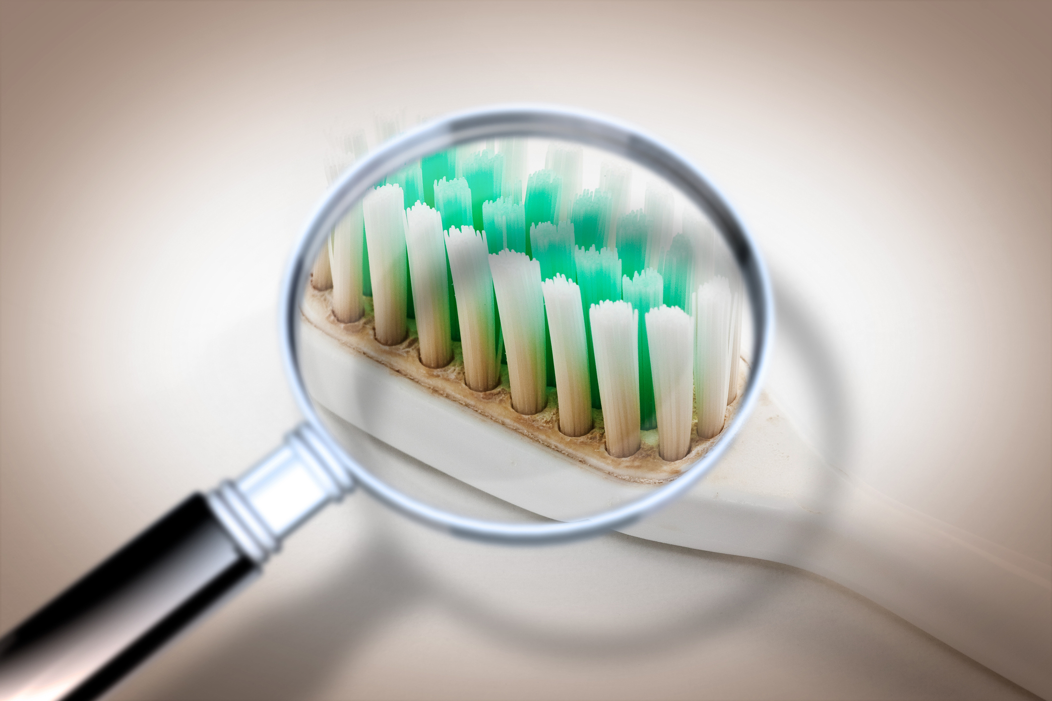 Great News Everybody! Your Toothbrush Probably Isn't Covered In Poop ...