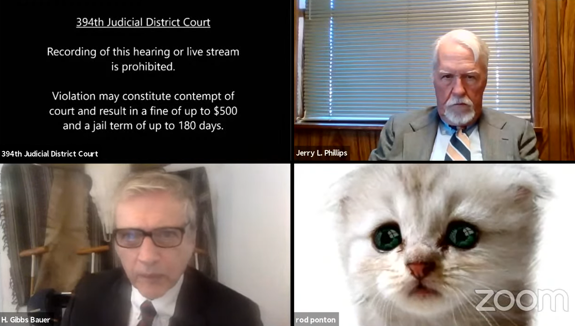 Texas Attorney-At-Paw Can't Turn Off ADORABLE Kitten Filter During Zoom ...