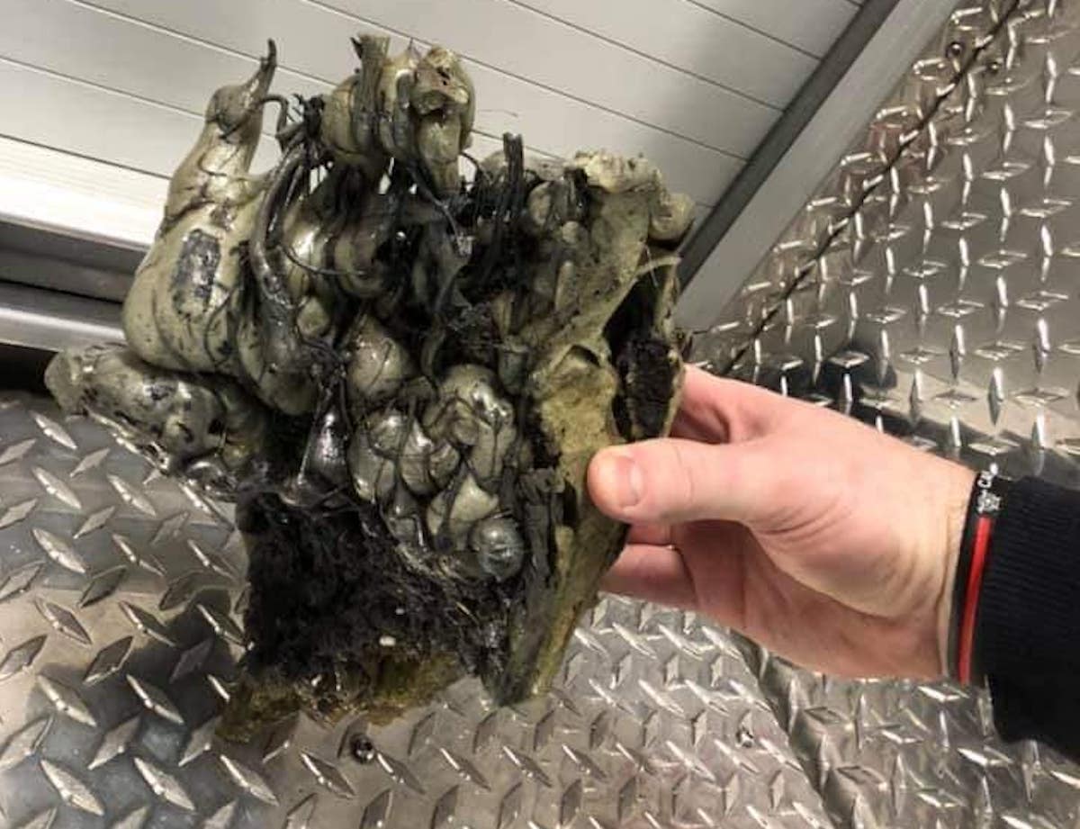 Firefighter Posts Scary Photos Showing Why People Should Never Screw ...