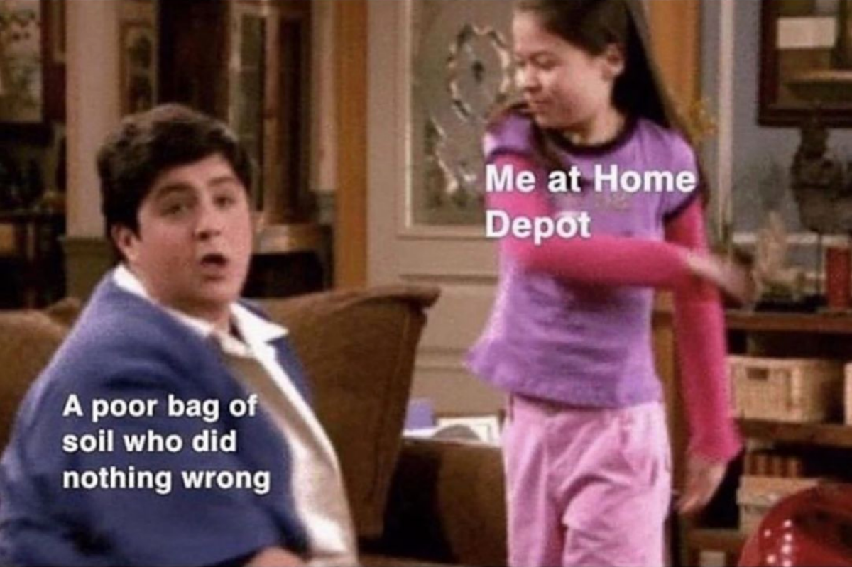 50 Of The Best Damn Photos On The Internet Today - BroBible