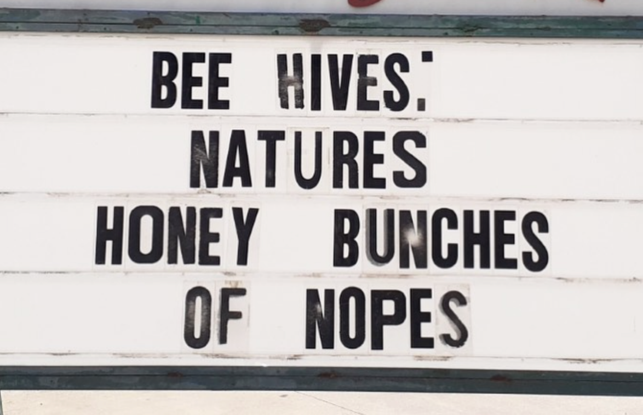 50 Best Memes Daily Meme Pics Funniest Memes Of 2021