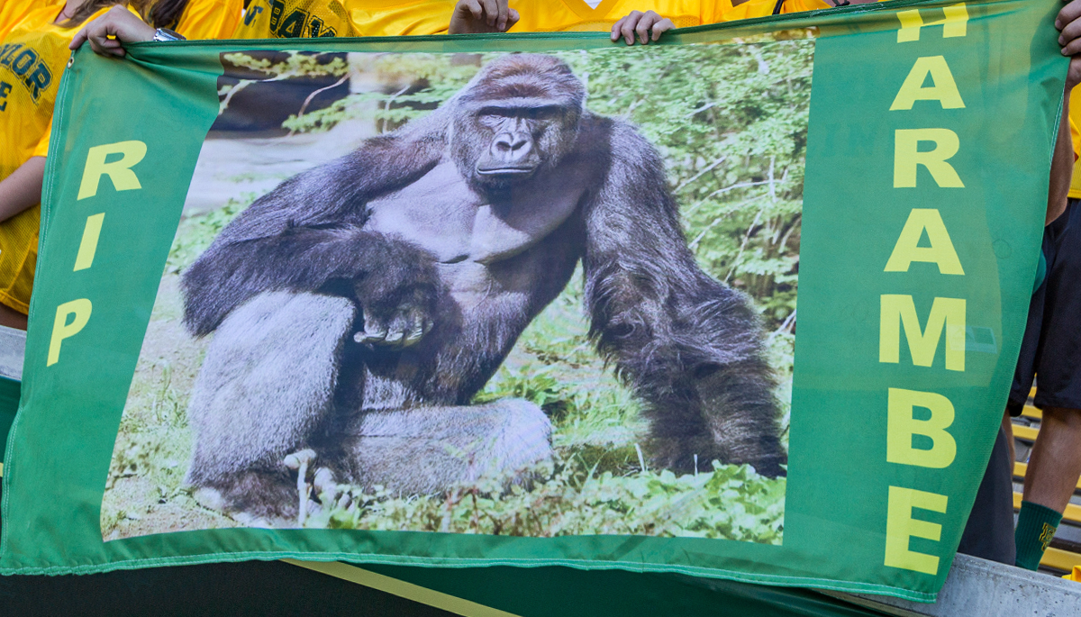Minor League Baseball Team Auctioning Off Custom Harambe Jerseys