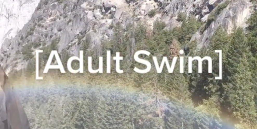 What is TikTok's viral 'Adult Swim' trend? Here is our take:
