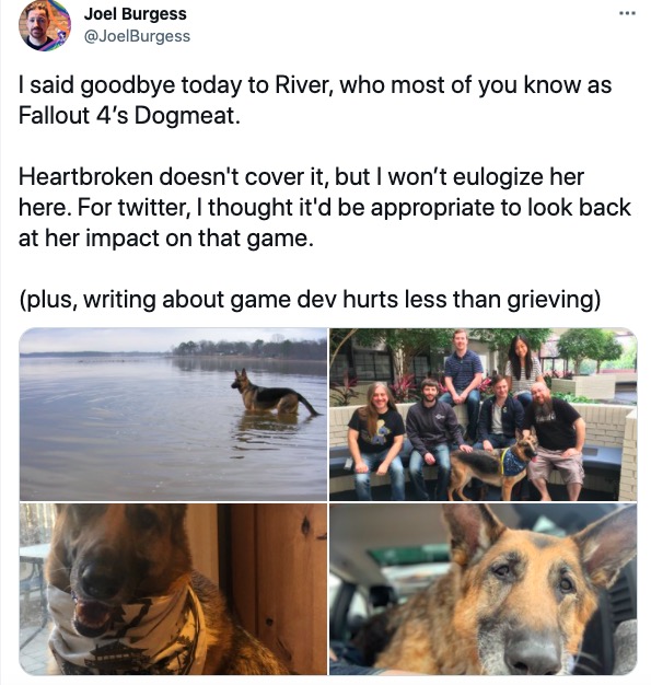 River, The Real-Life Dog From 'Fallout 4', Has Passed Away