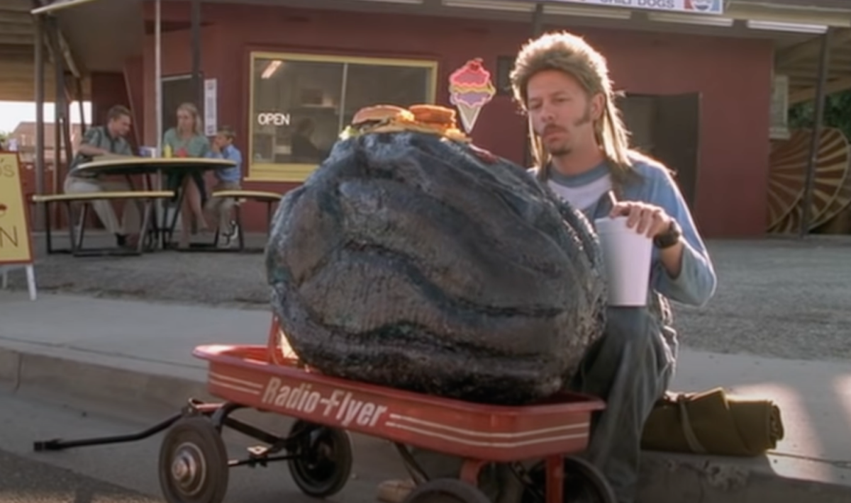 An Ice Block Full Of Poop Fell From A Plane Into A Neighborhood