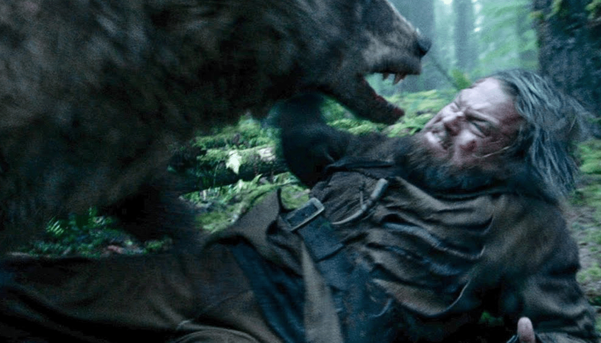 Man In Alaska Stalked By Bear For A Week Before Being Rescued