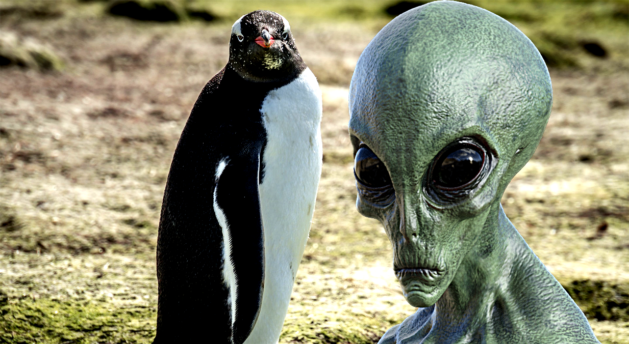 Discovery Leads Scientists To Believe Penguins Might Actually Be Aliens