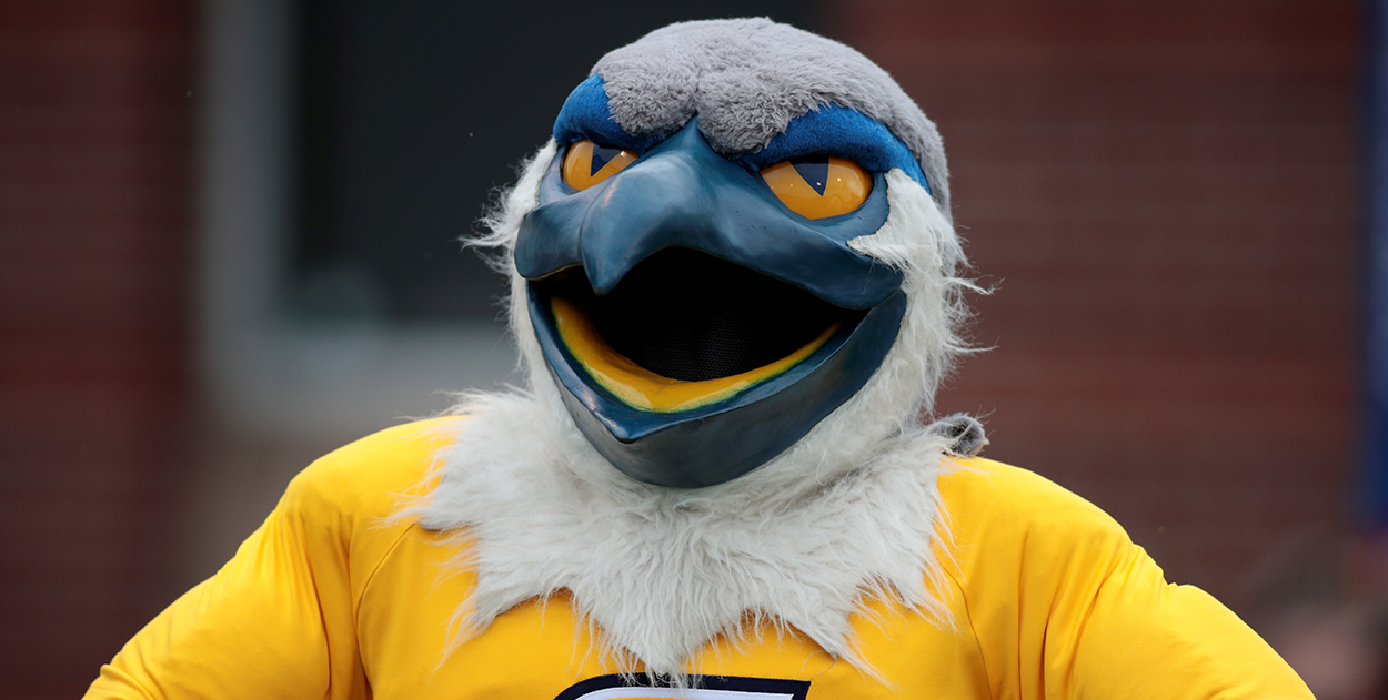 University Of Chattanooga's Mockingbird Mascot Is Absolutely Massive