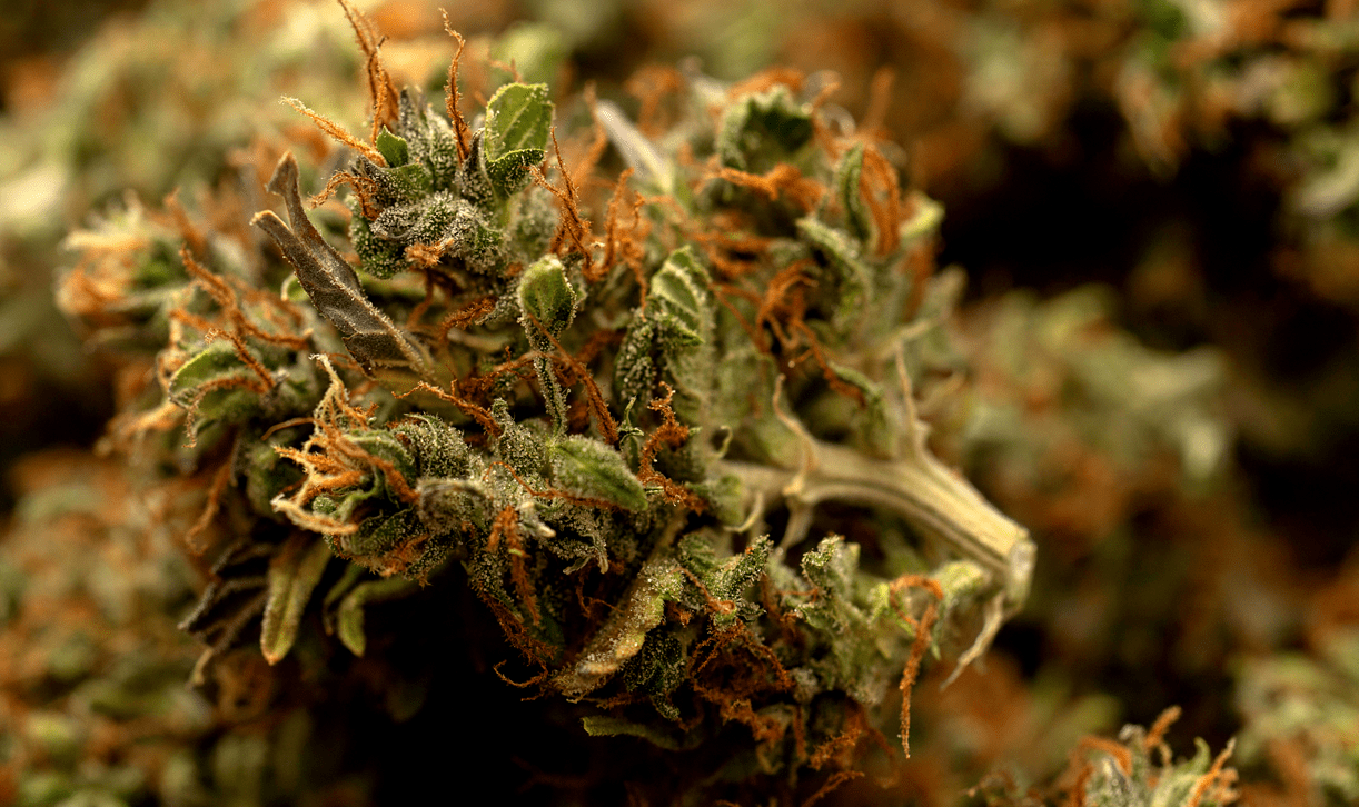 15 Charged, DEA Seizes Over $40 Million In Assets From Drug Operation