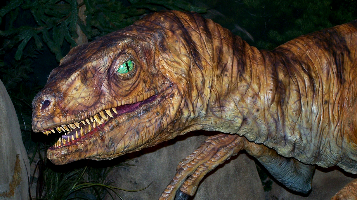 Gigantic 'Death Shadow' Raptor Remains Discovered By Scientists