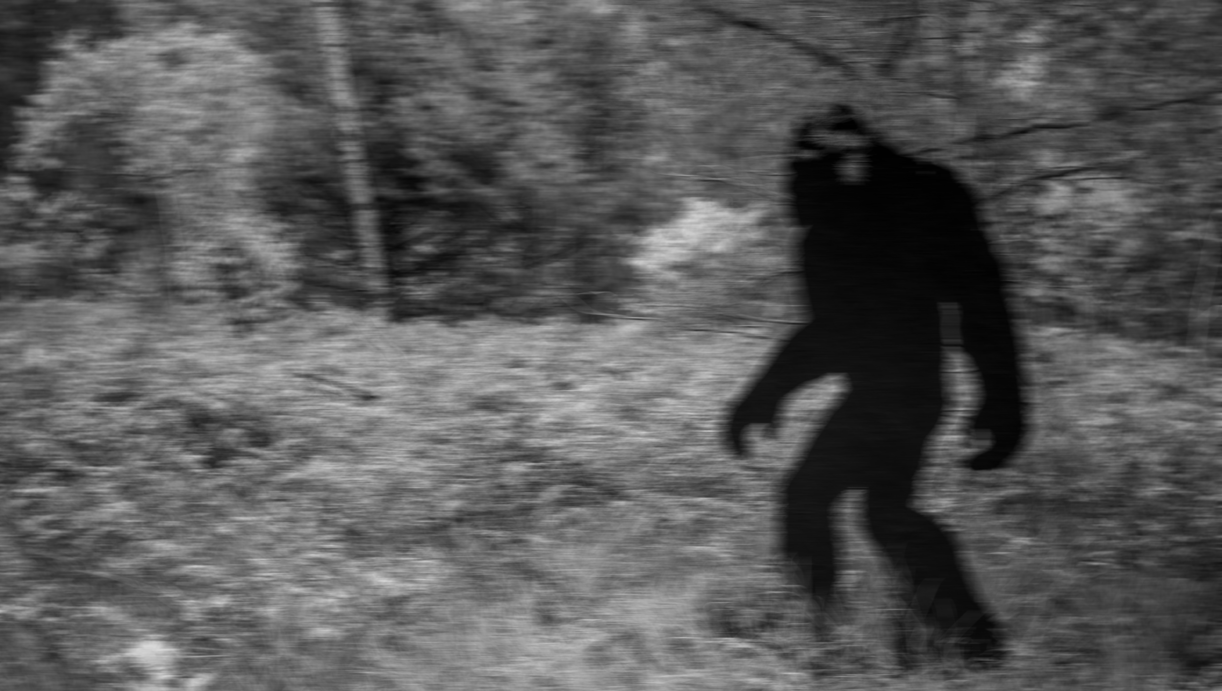 Hunter Tells Wild Story Of Having Bigfoot In His Sights For 20 Minutes