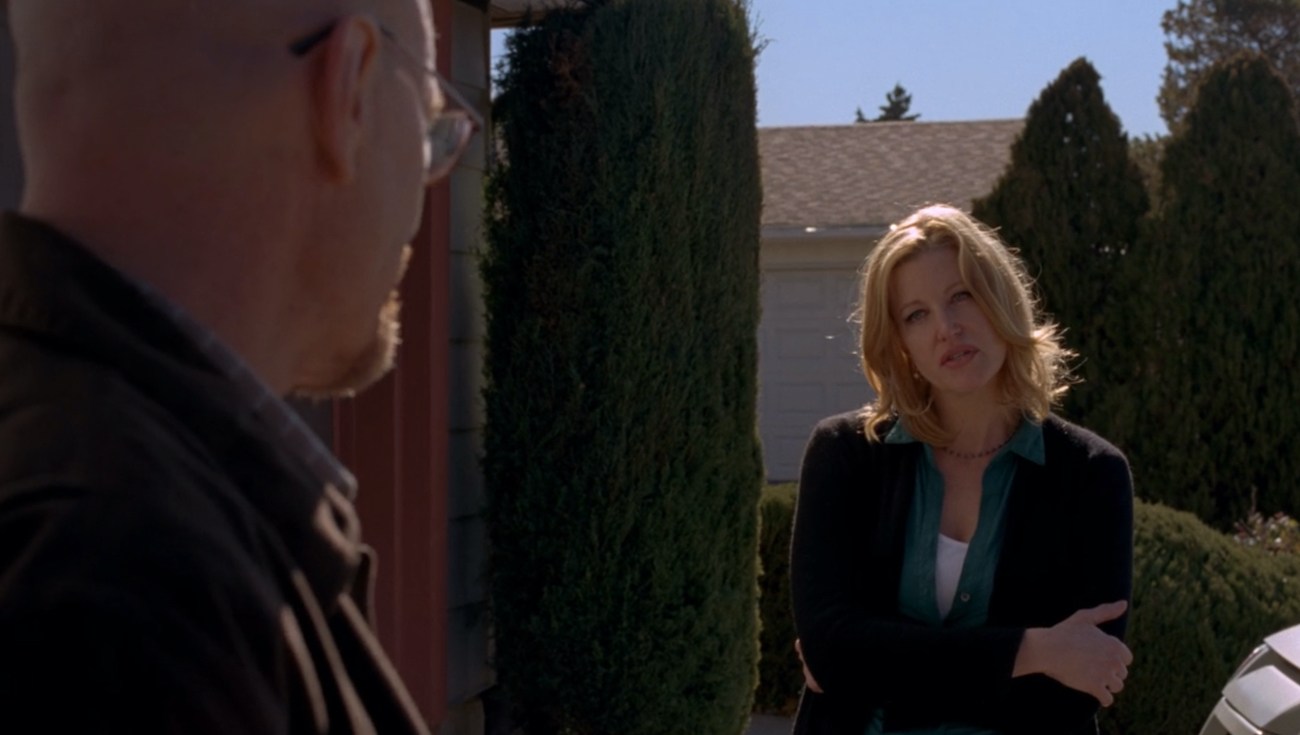 Breaking Bad Creator Explains Why He Now Feels Bad For Skyler White
