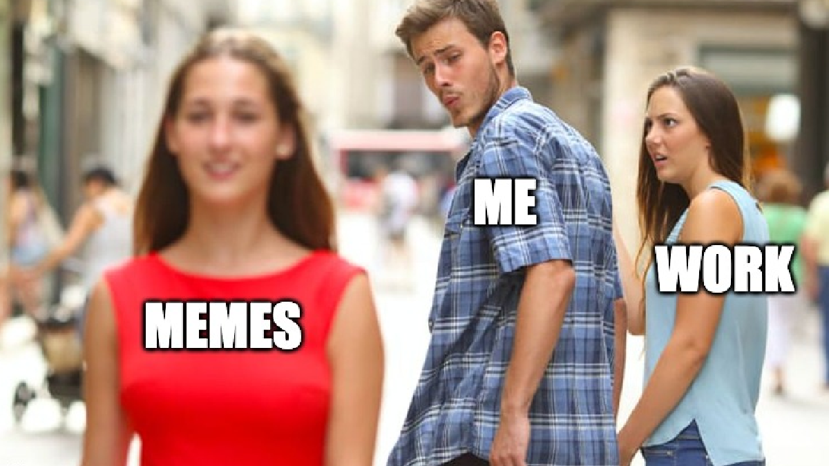 50 Best New Memes Today | Best Damn Photos On The Internet