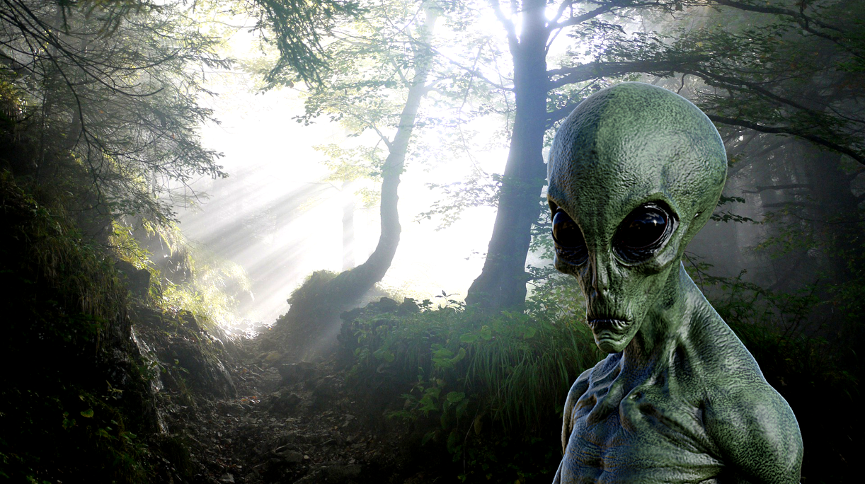 Man Seeks Answers After Childhood Encounter With 'Lizard'-Like Alien