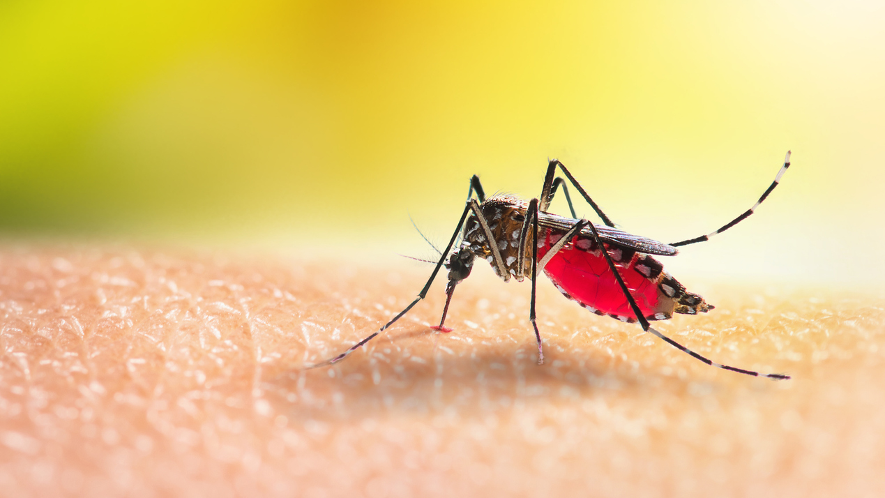 If You Get Bitten By Mosquitoes More Than Others, There's A Reason Why