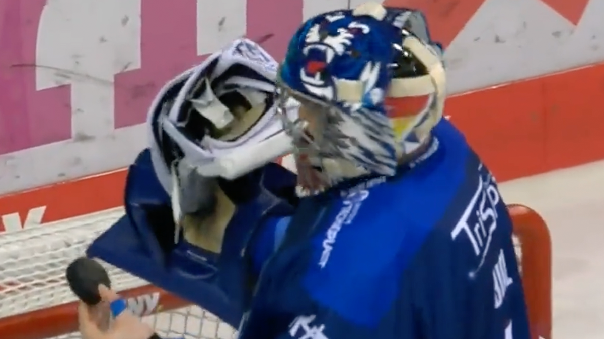 Insane Fluke At German Hockey Game Produce Crazy Glove Save