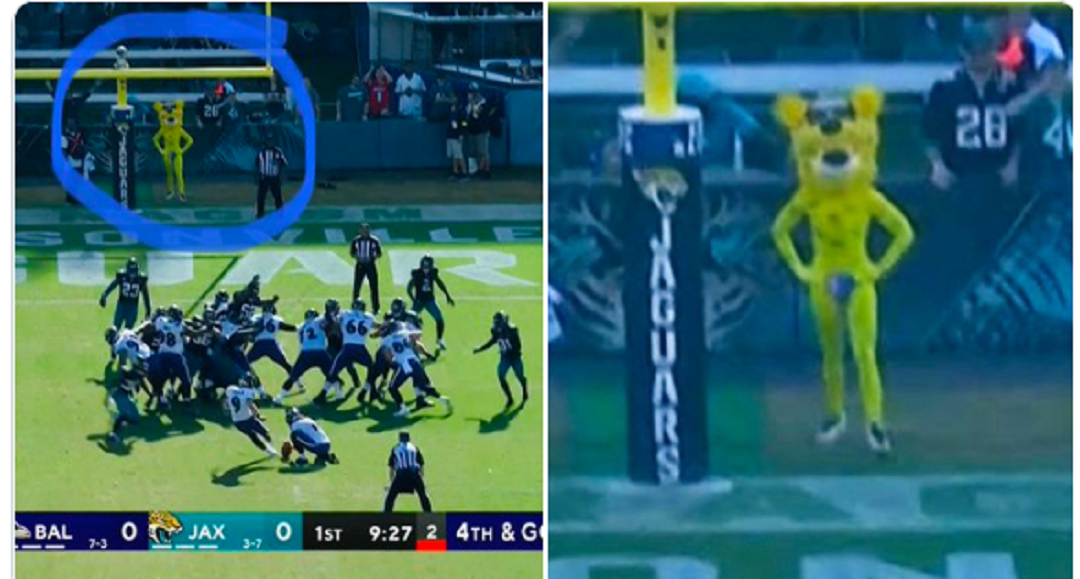 Jaguars Mascot Got Shaved And Is Wearing USA Speedo - BroBible