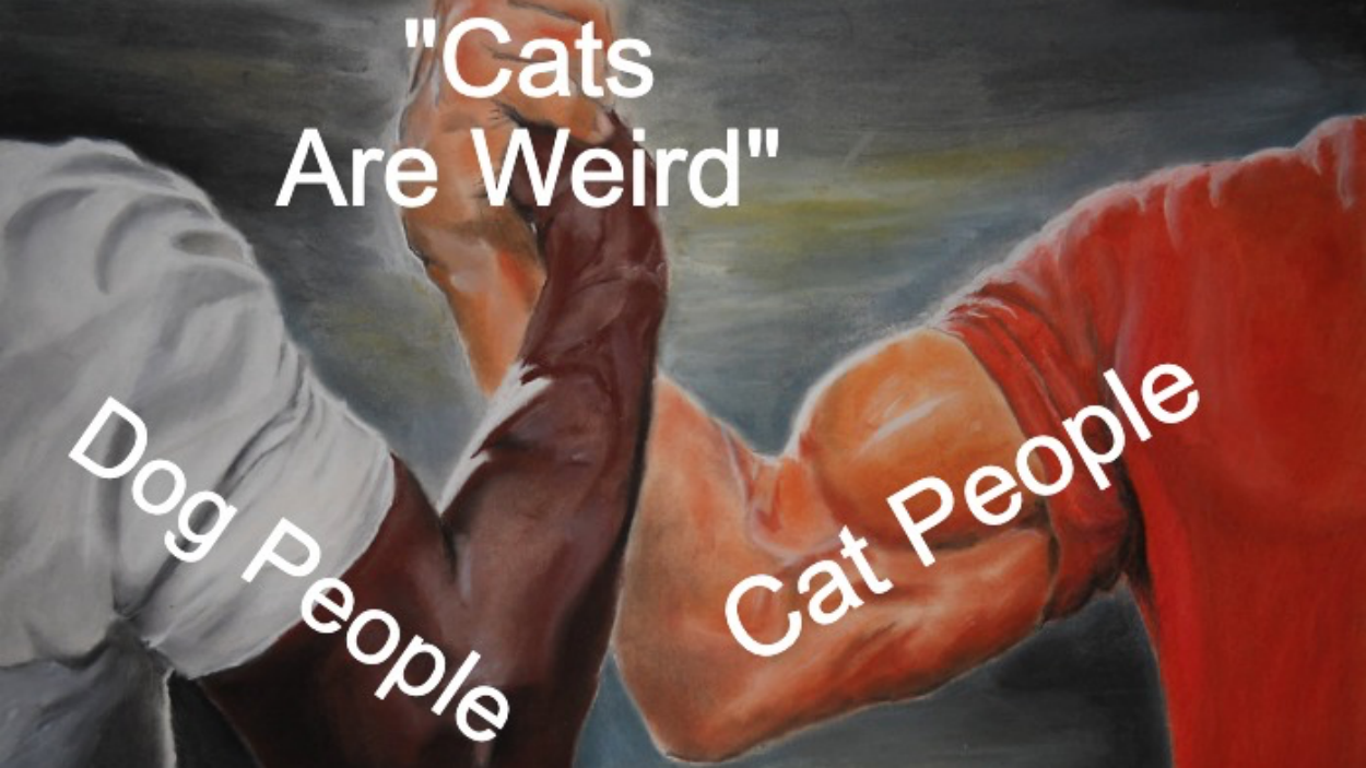 50 Random 2023 Memes, Funny Pics, And Best On The Internet Today