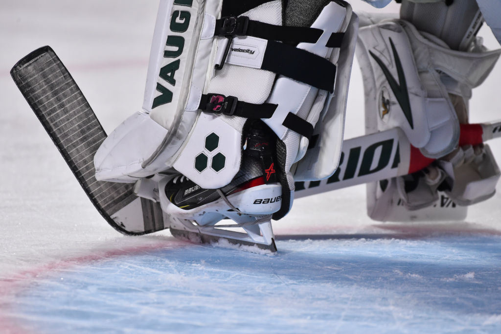 Hockey Goalie Turned Model Mikayla Demaiter Goes Viral With Stunning ...