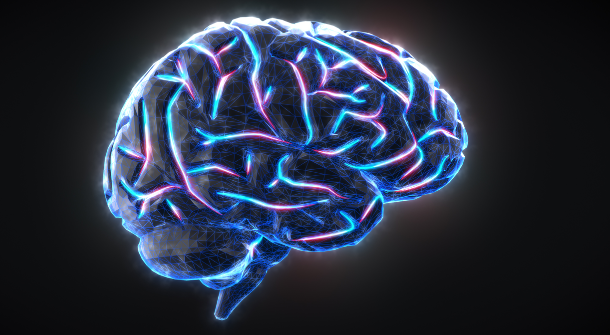 Controversial Surgeon Says Brain Transplants Are Now 'Feasible'