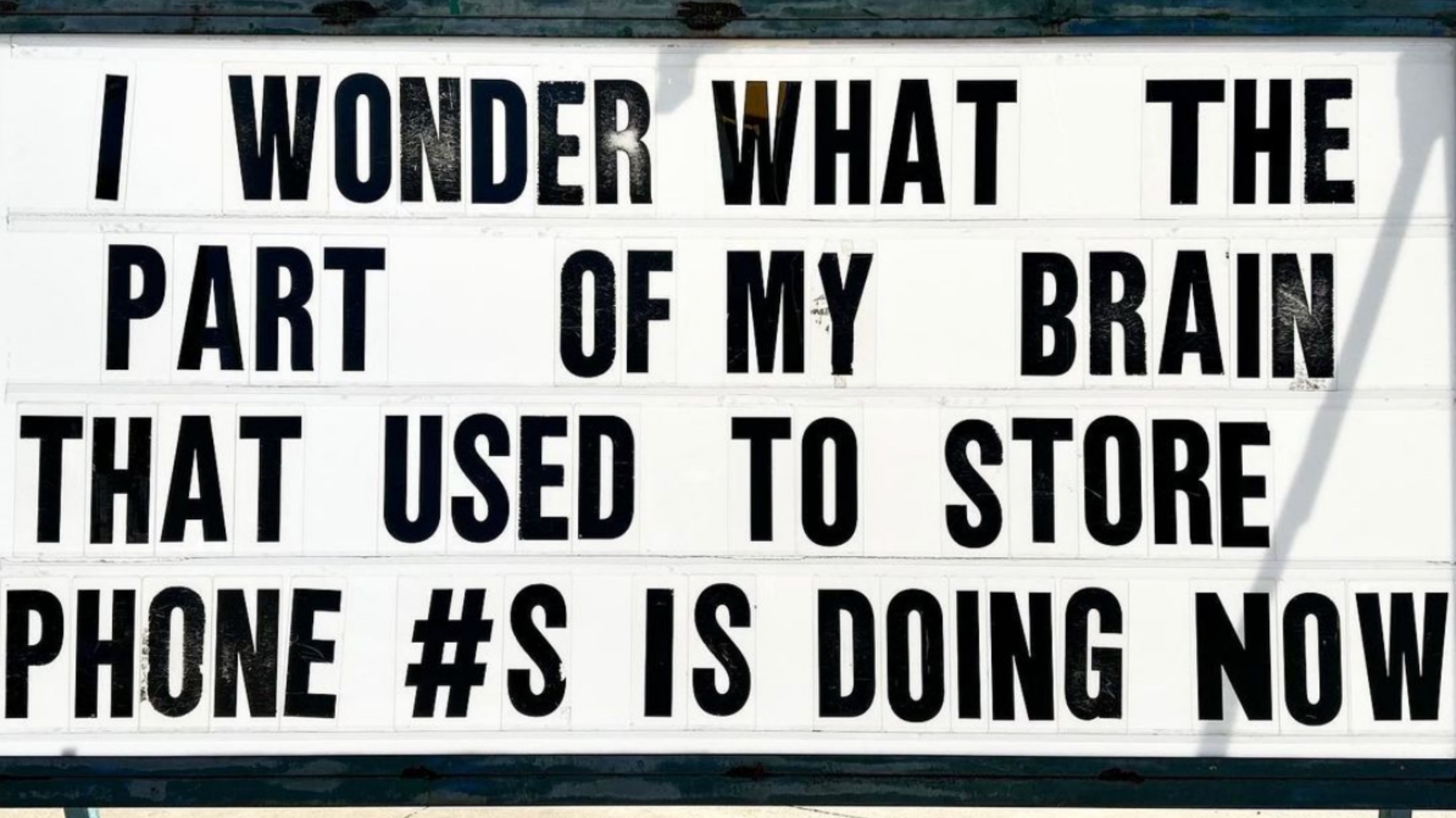 50 Random Tweets, Funny Memes, And Best Damn Photos Today