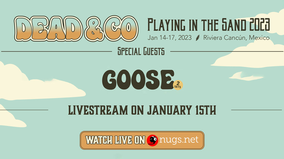 Goose Stream - How To Watch Goose's Playing In The Sand Show In Mexico ...