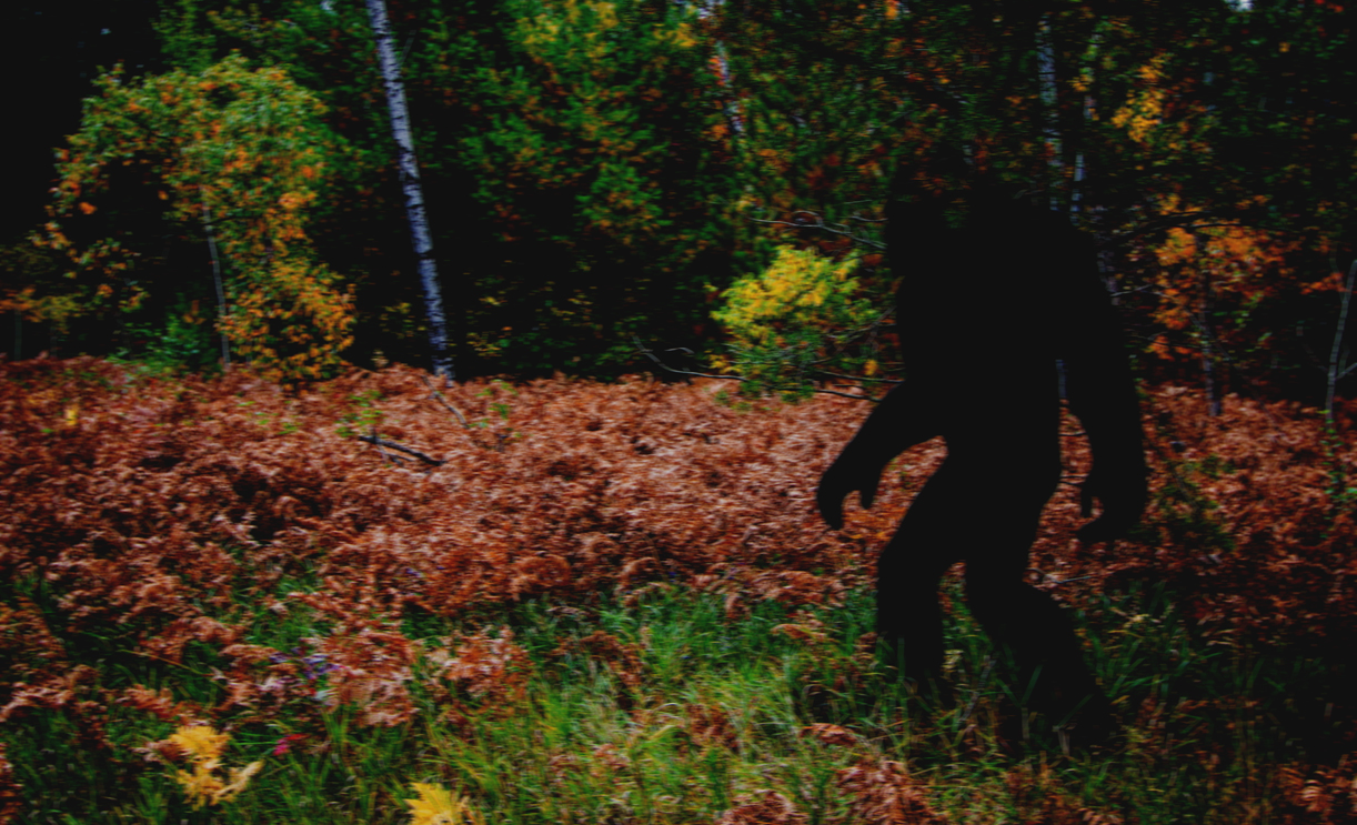 Bigfoot Spotted On Trail Camera Photo Leaves Witnesses 'Mystified'