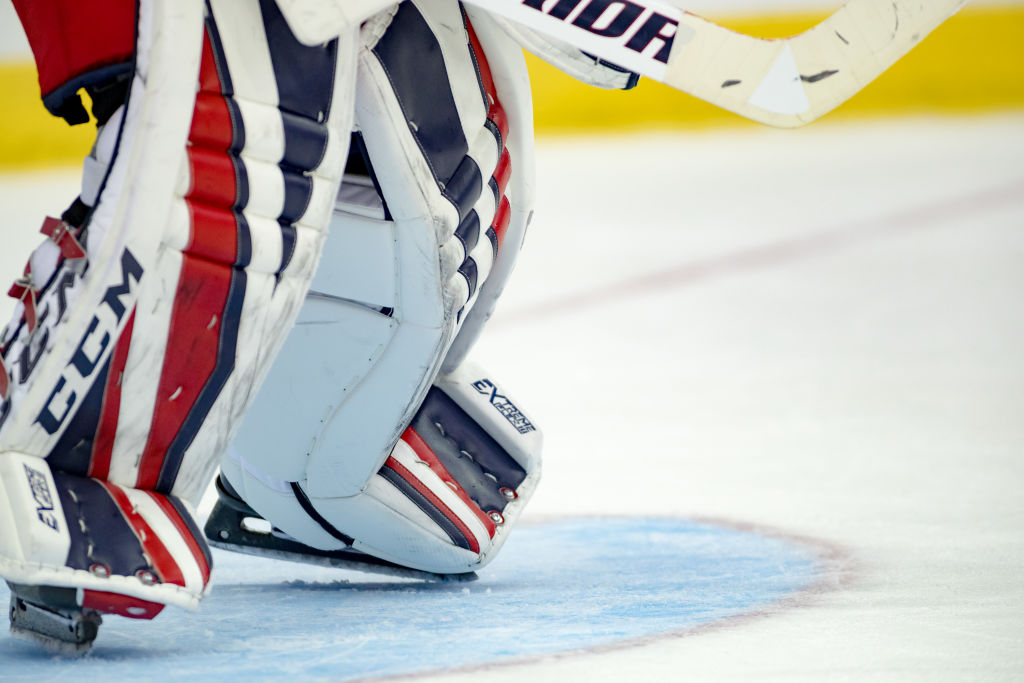 Hockey Goalie Turned Model Mikayla Demaiter's Country Girl Outfit Goes ...