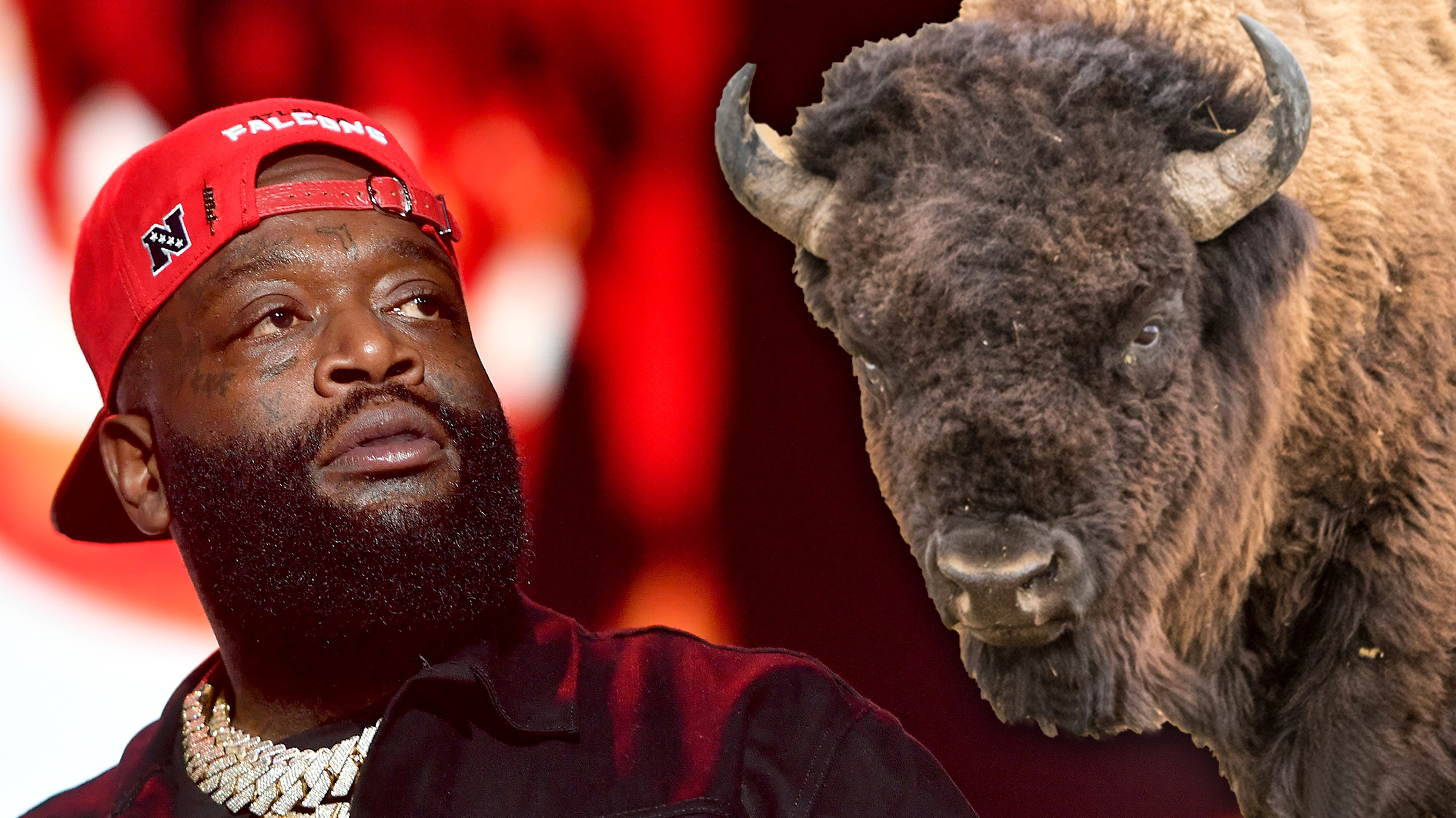 Rick Ross Sparks Drama With Neighbor Over His Roaming Buffaloes