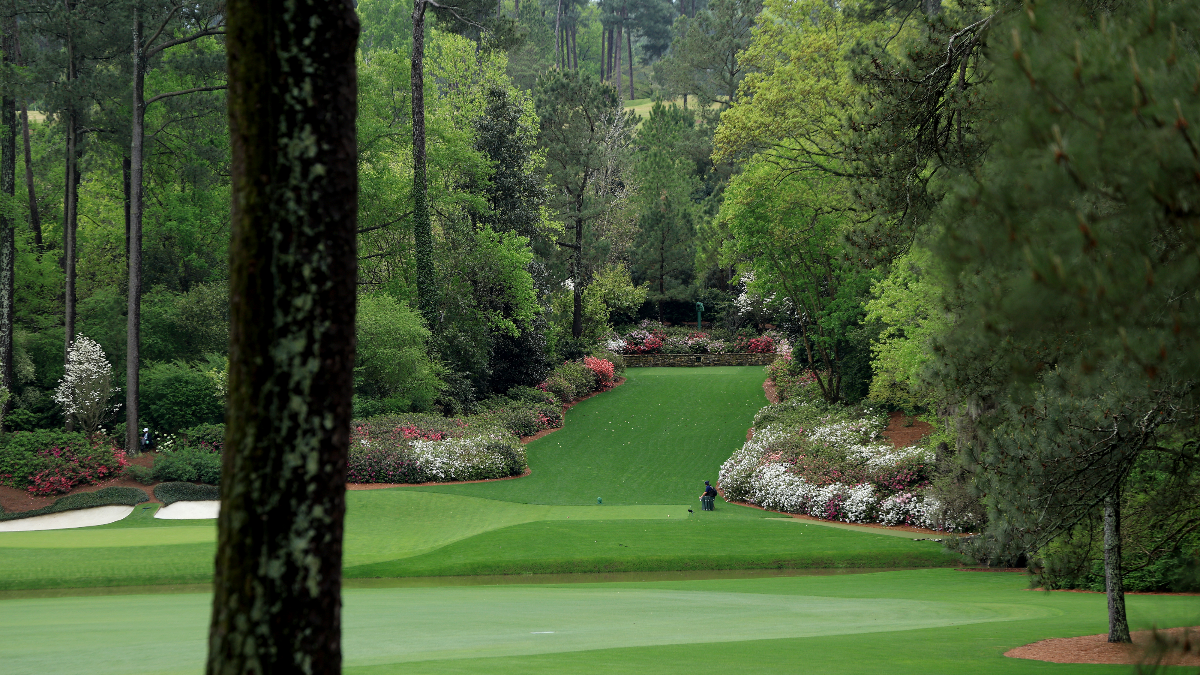 Huge Tree Nearly Falls On Fans Before Masters Weather Delay