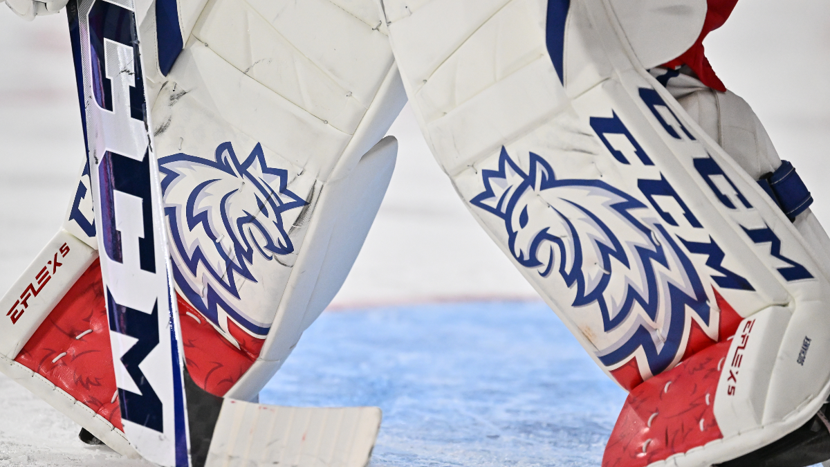 Goalie Turned Model Mikayla Demaiter Shows Off Her Talents