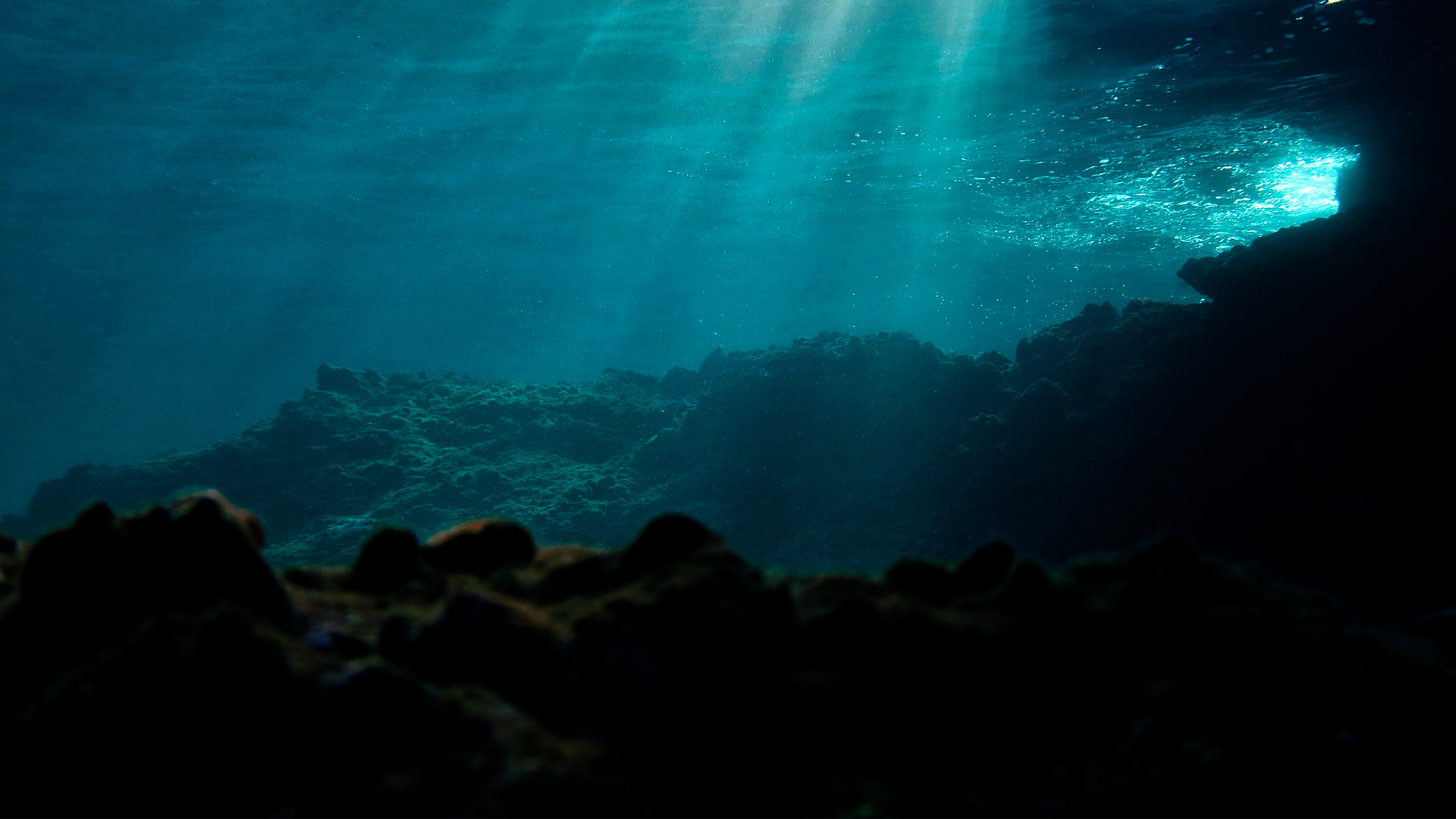 Scientists Film Deepest Fish Ever Captured On Camera