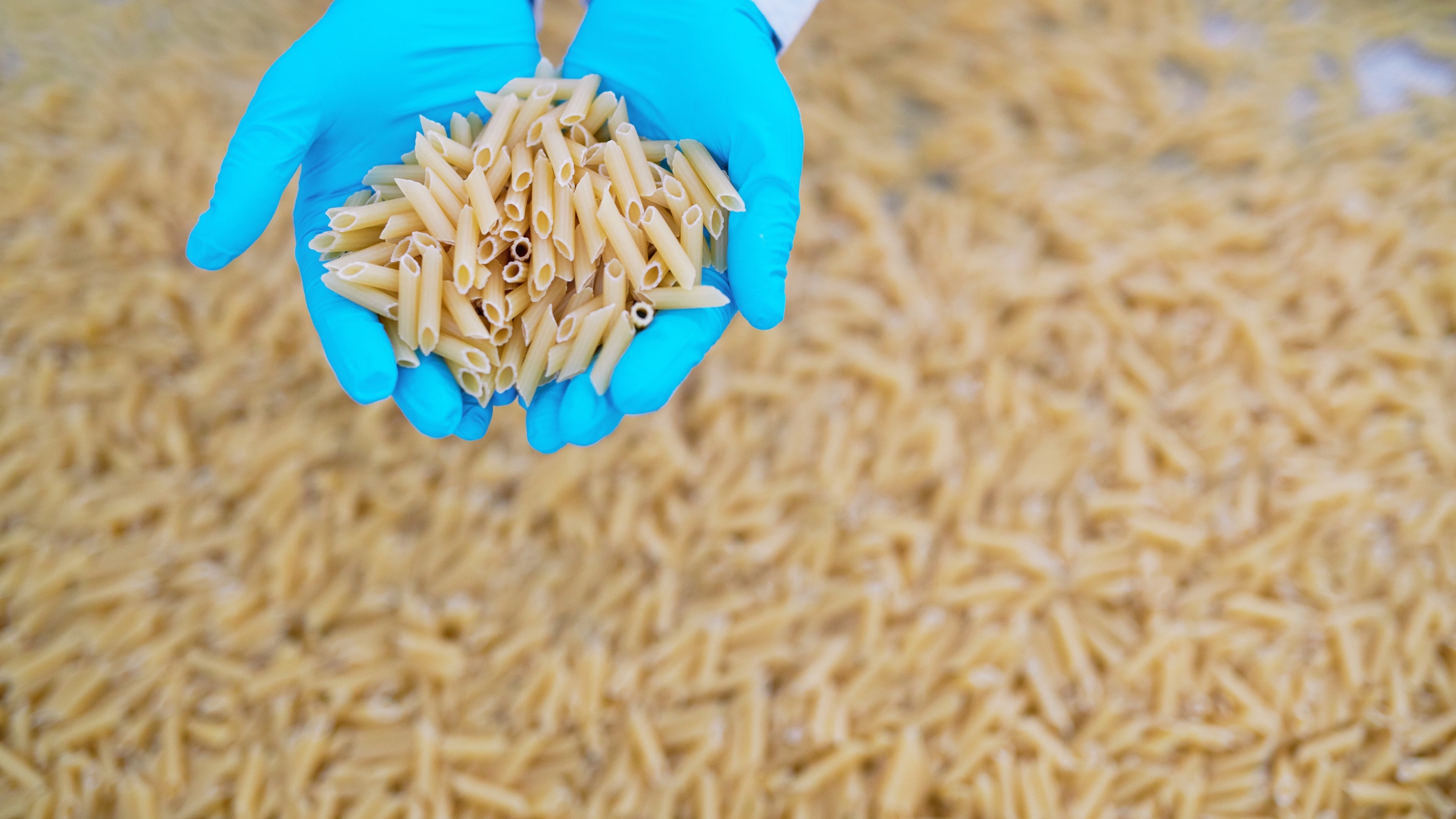 Hundreds Of Pounds Of Pasta Mysteriously Dumped In NJ Forest