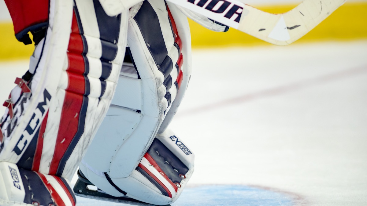 Former Hockey Goalie Mikayla Demaiter Stuns In New Viral Pics