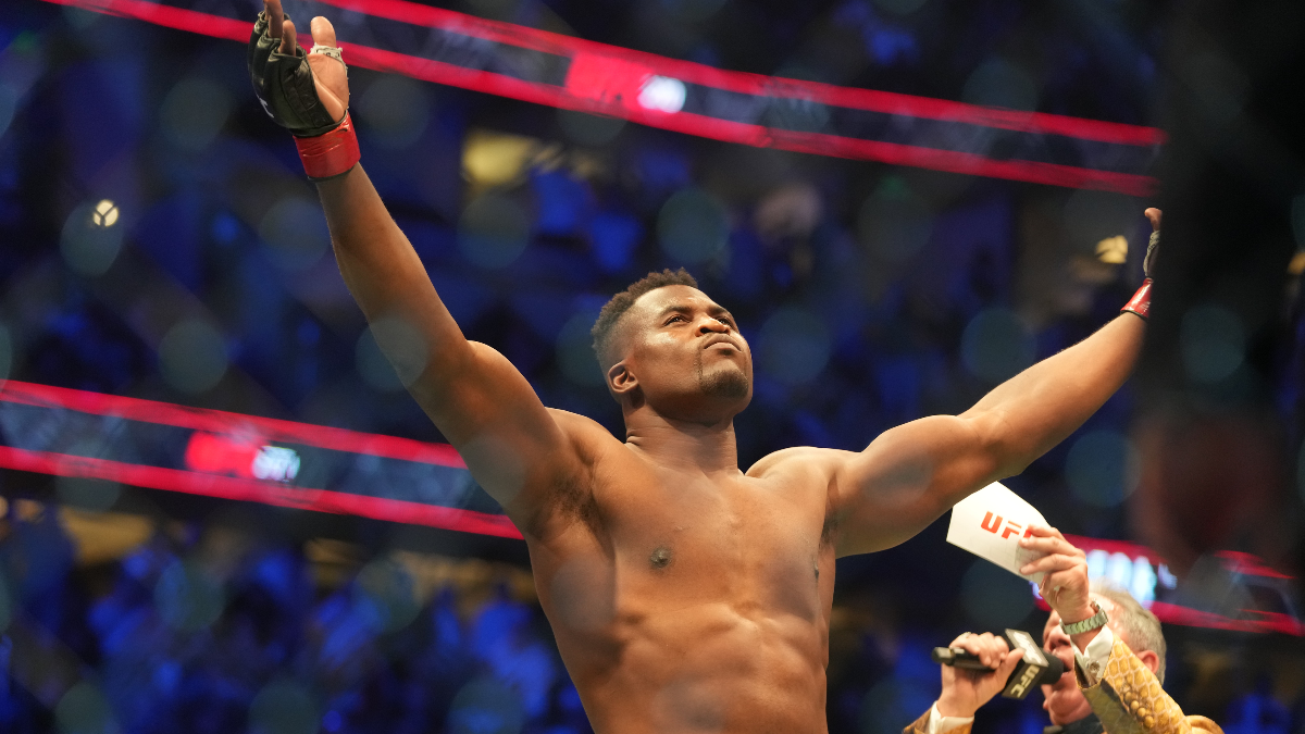 UFC Vet Offers Francis Ngannou Advice On Boxing Career