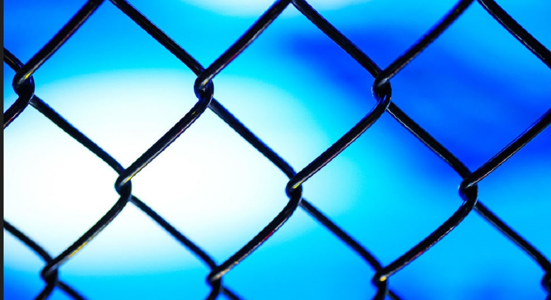 MMA Star/Model Alice Ardelean Bathing Suit Photo Goes Viral On ...