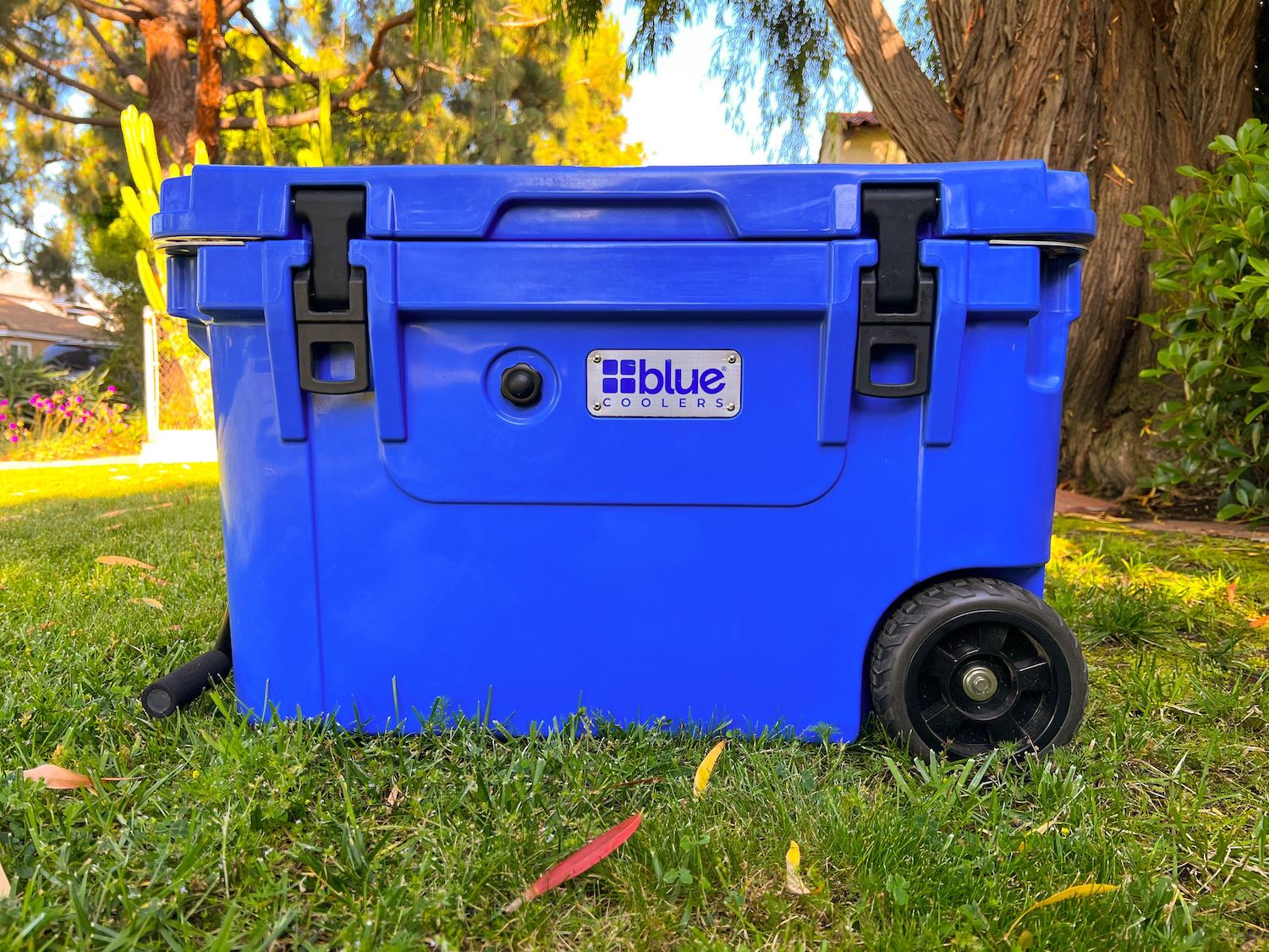 Bundle A 60 Quart Wheeled Blue Cooler With A Cobalt 25 Quart Cooler For ...