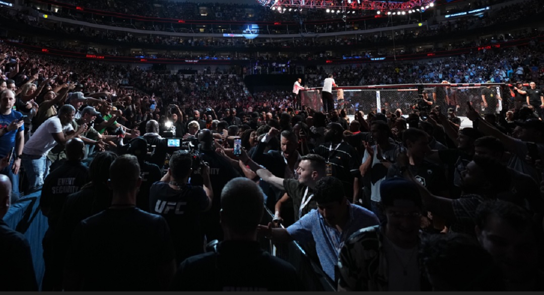 Guy Saves Beer During Wild Brawl In Crowd At UFC 289, Being Hailed As A ...