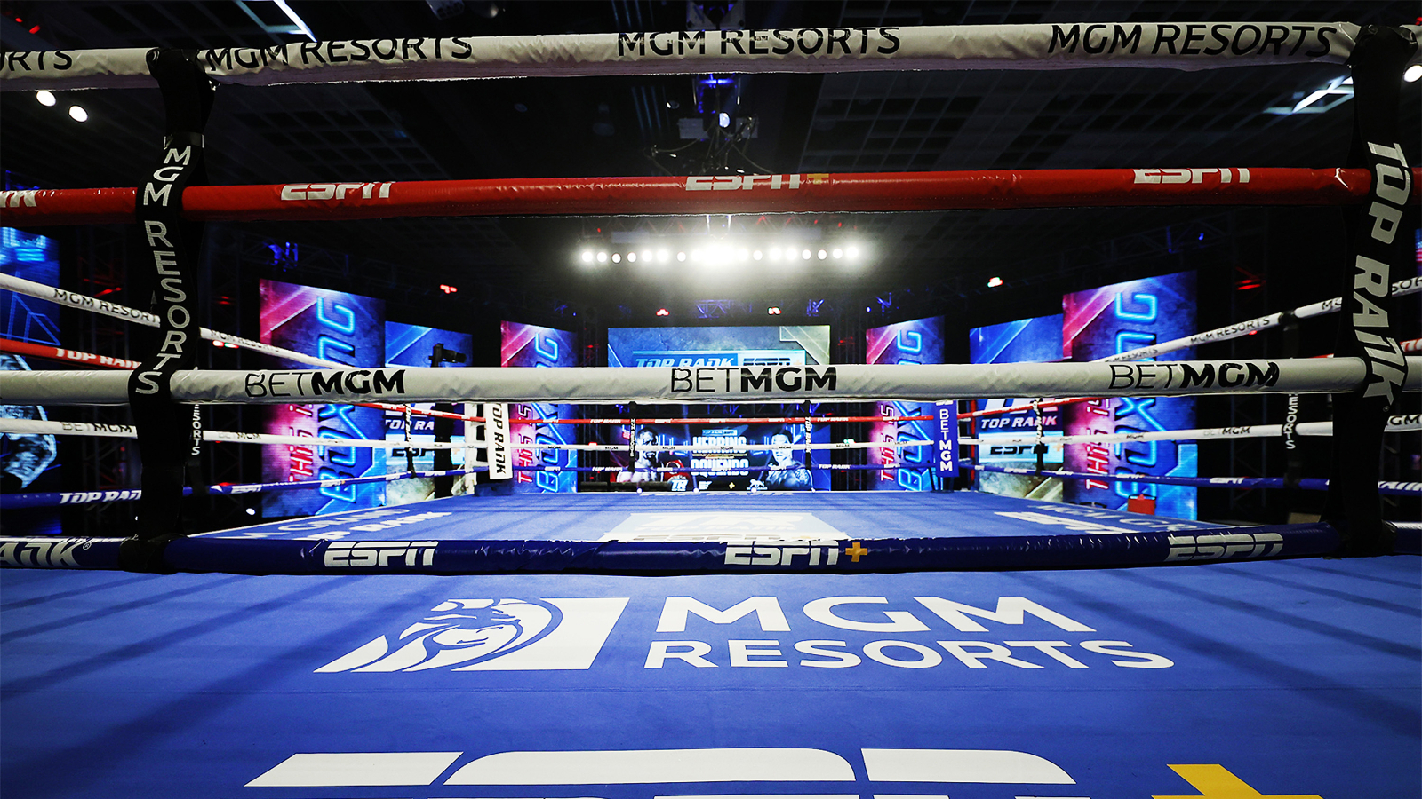 Women's Boxer Goes Viral After Flashing Crowd Following Victory