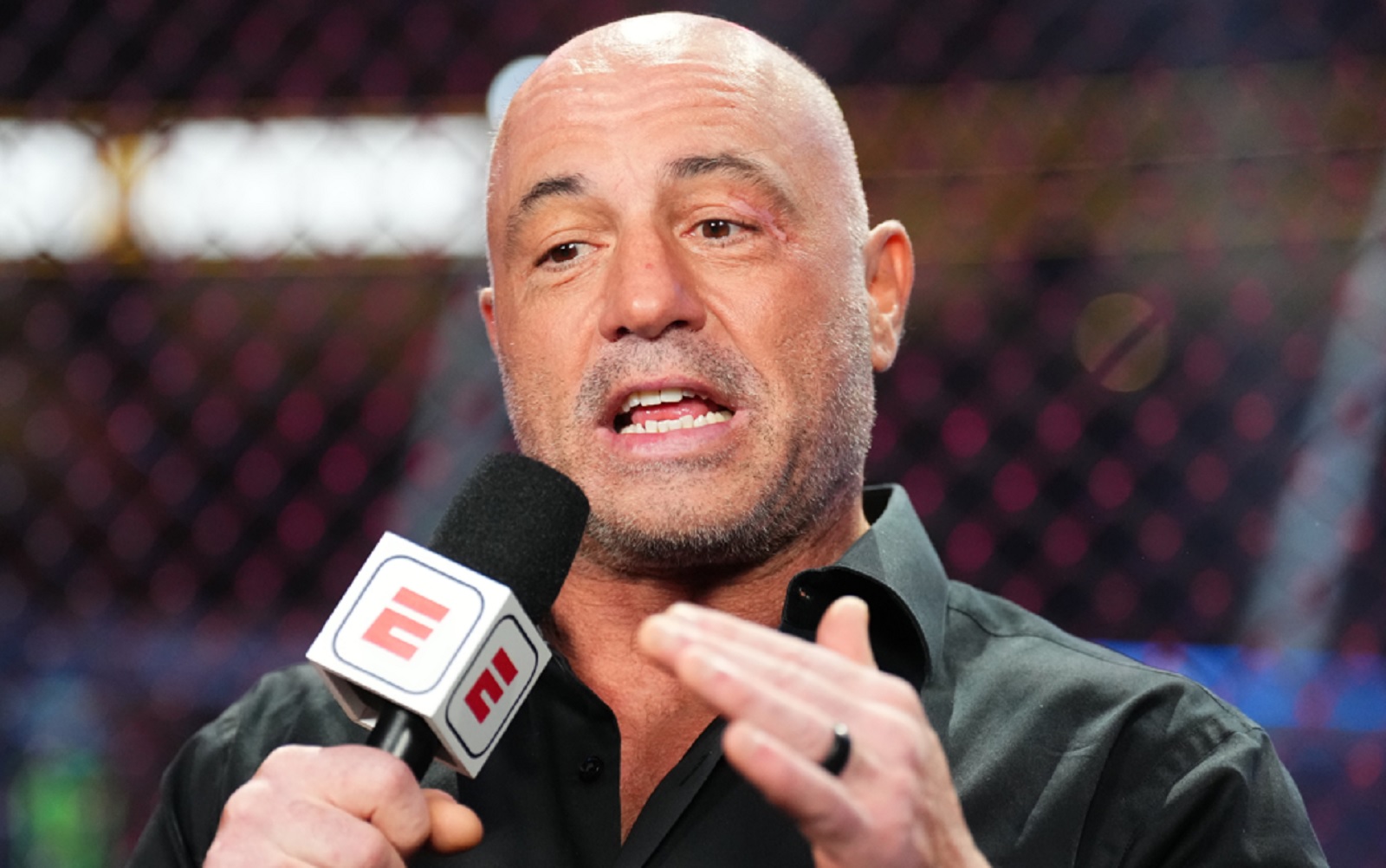 Donald Trump Really Wants To Get On Joe Rogan's Podcast, But Rogan's ...