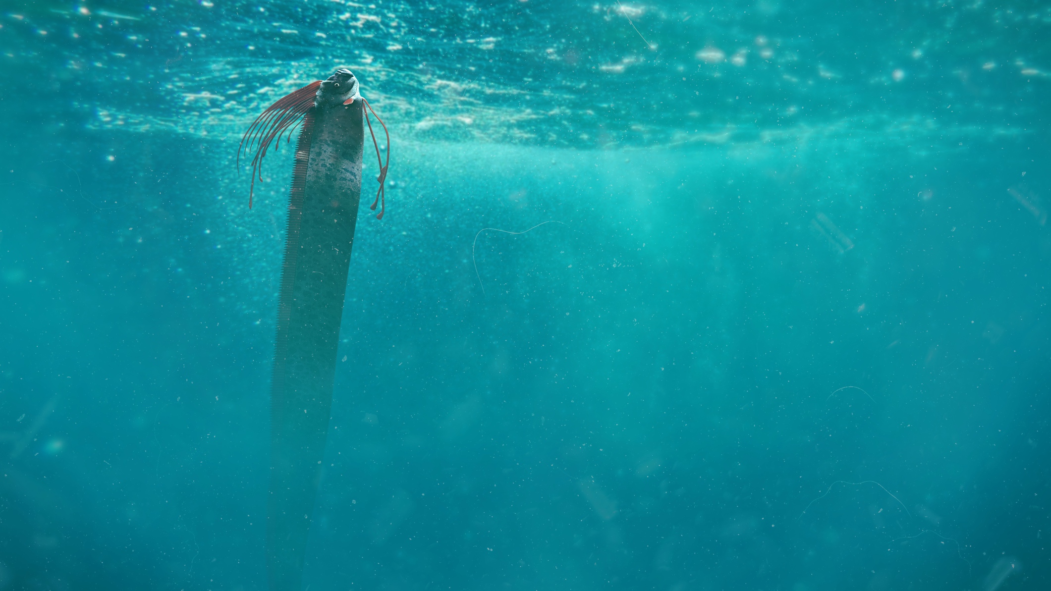 Diver In Taiwan Comes Face To Face With Rare 'Earthquake Fish'