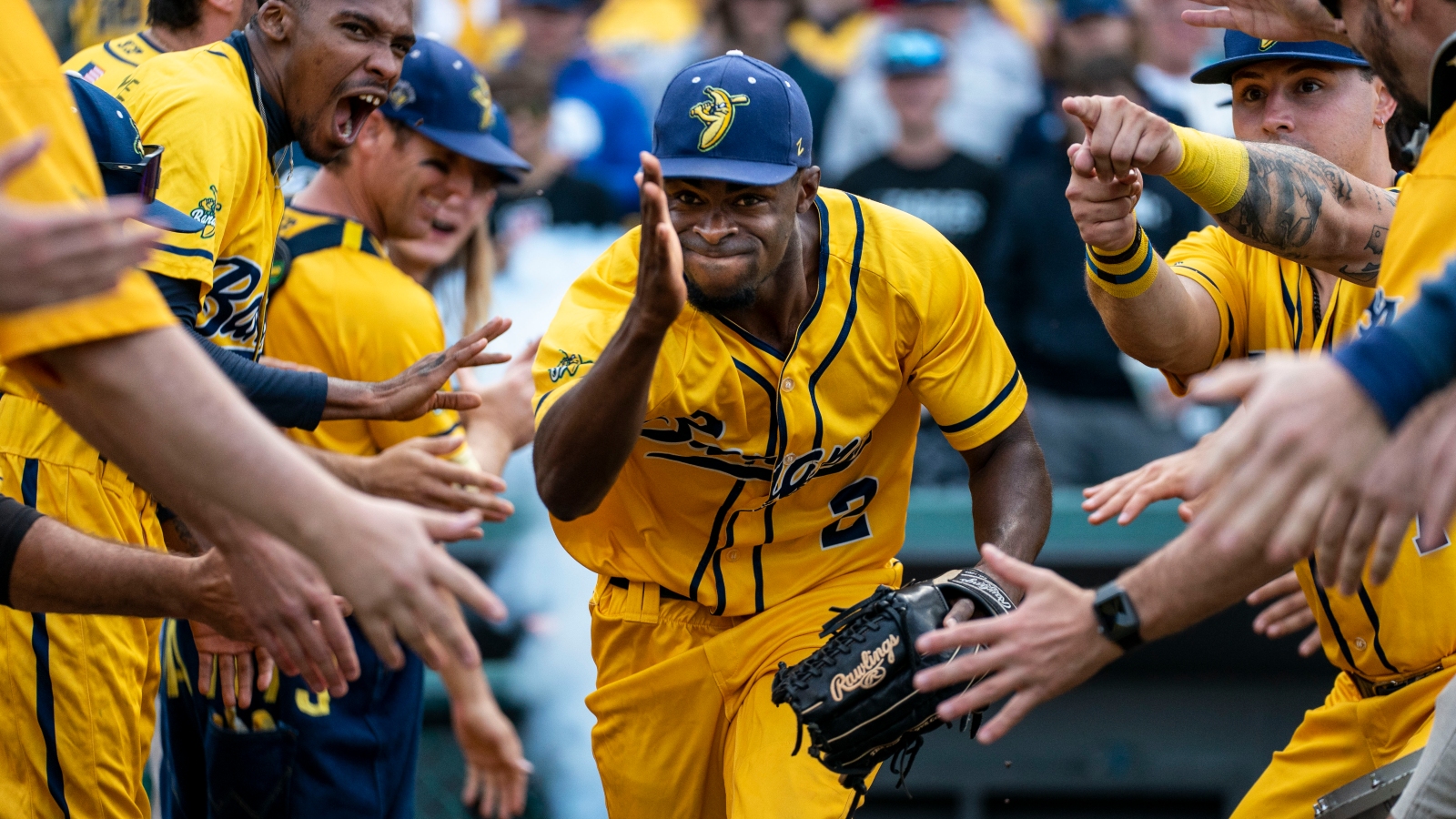 Savannah Bananas' New Rule Makes For Thrilling Fan Experience