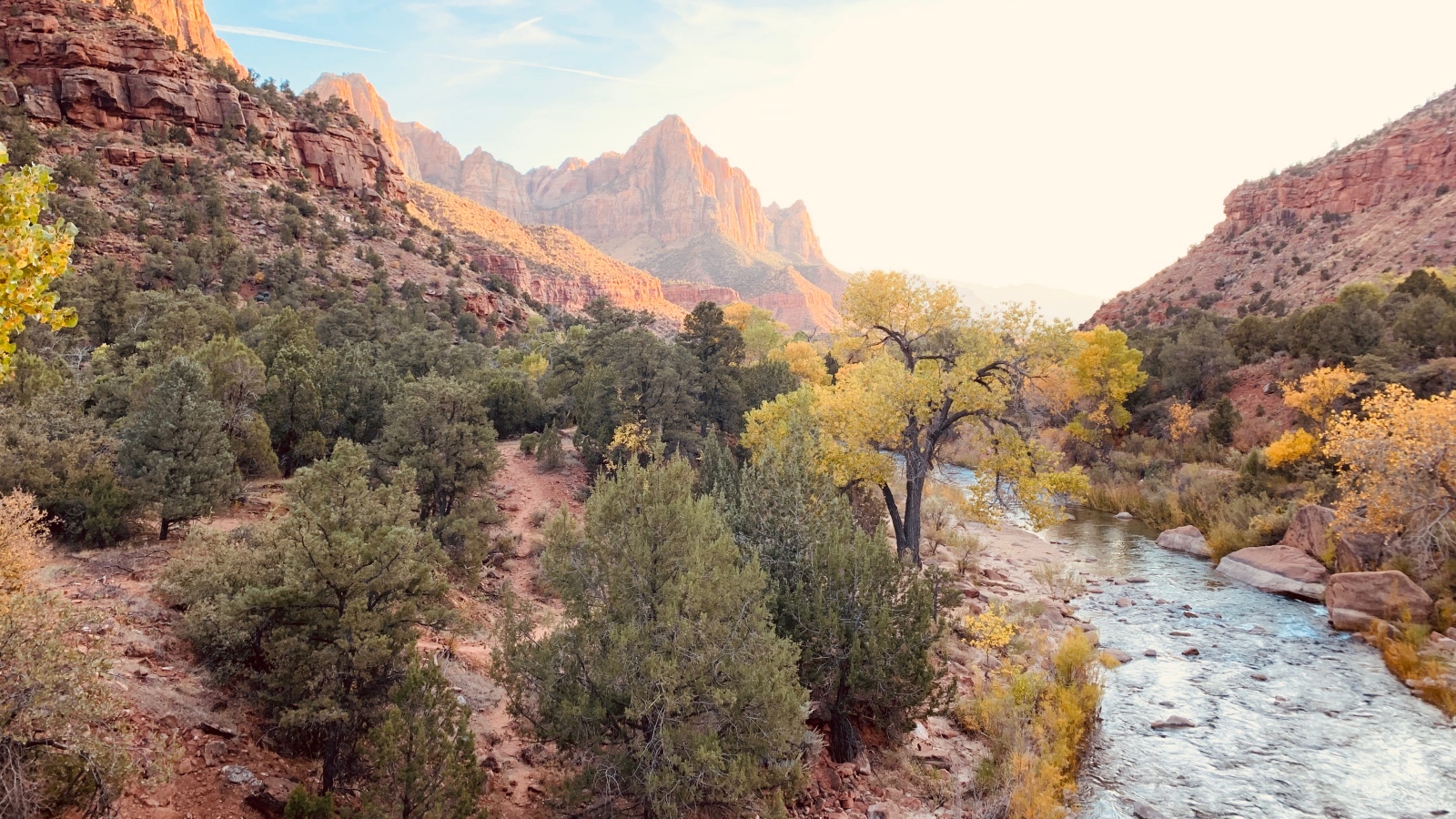 Zion Park Rangers Bake Cookies Inside Car To Show Heat