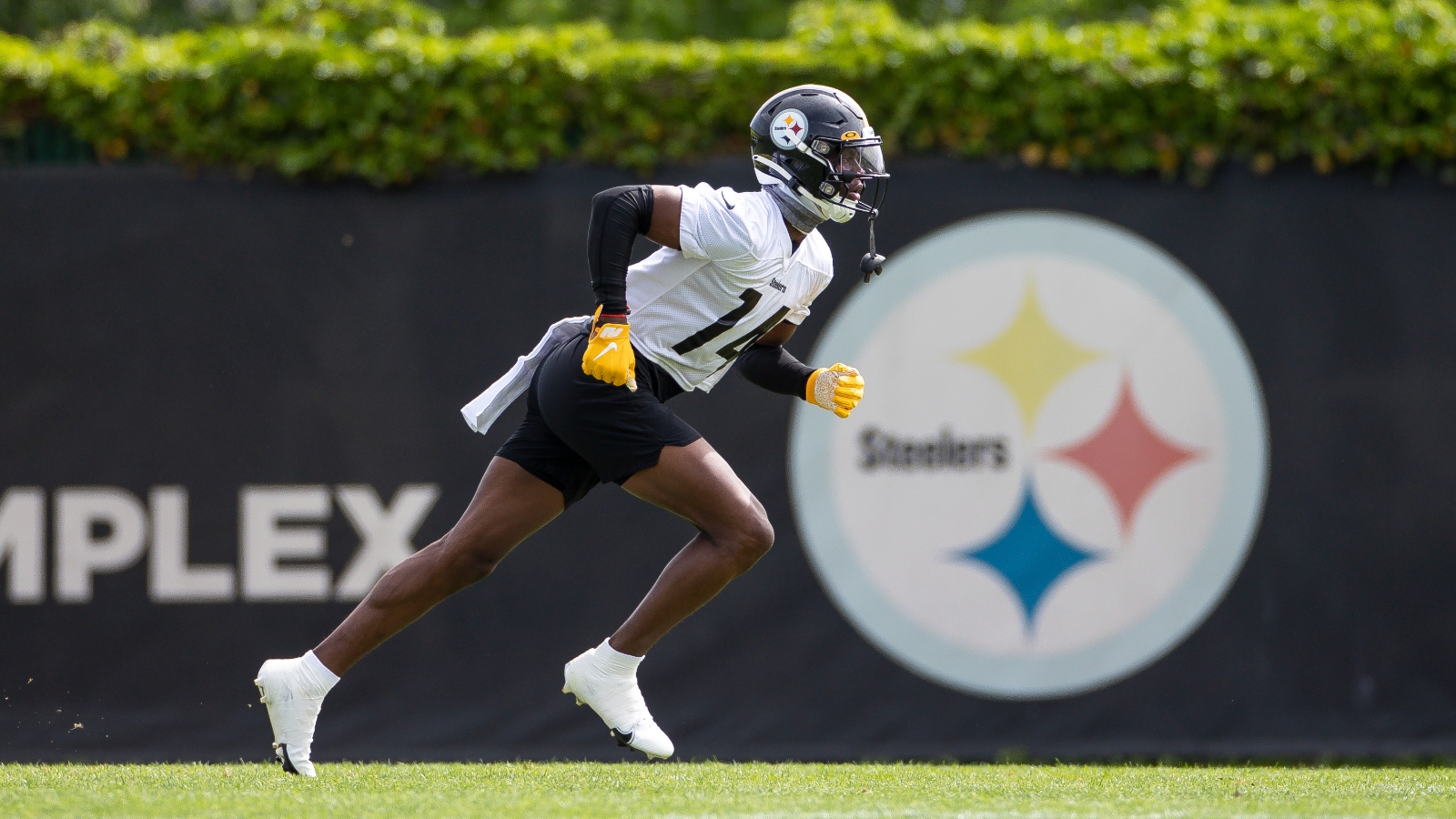 George Pickens' One-Handed Catch Has Steelers Fans Salivating