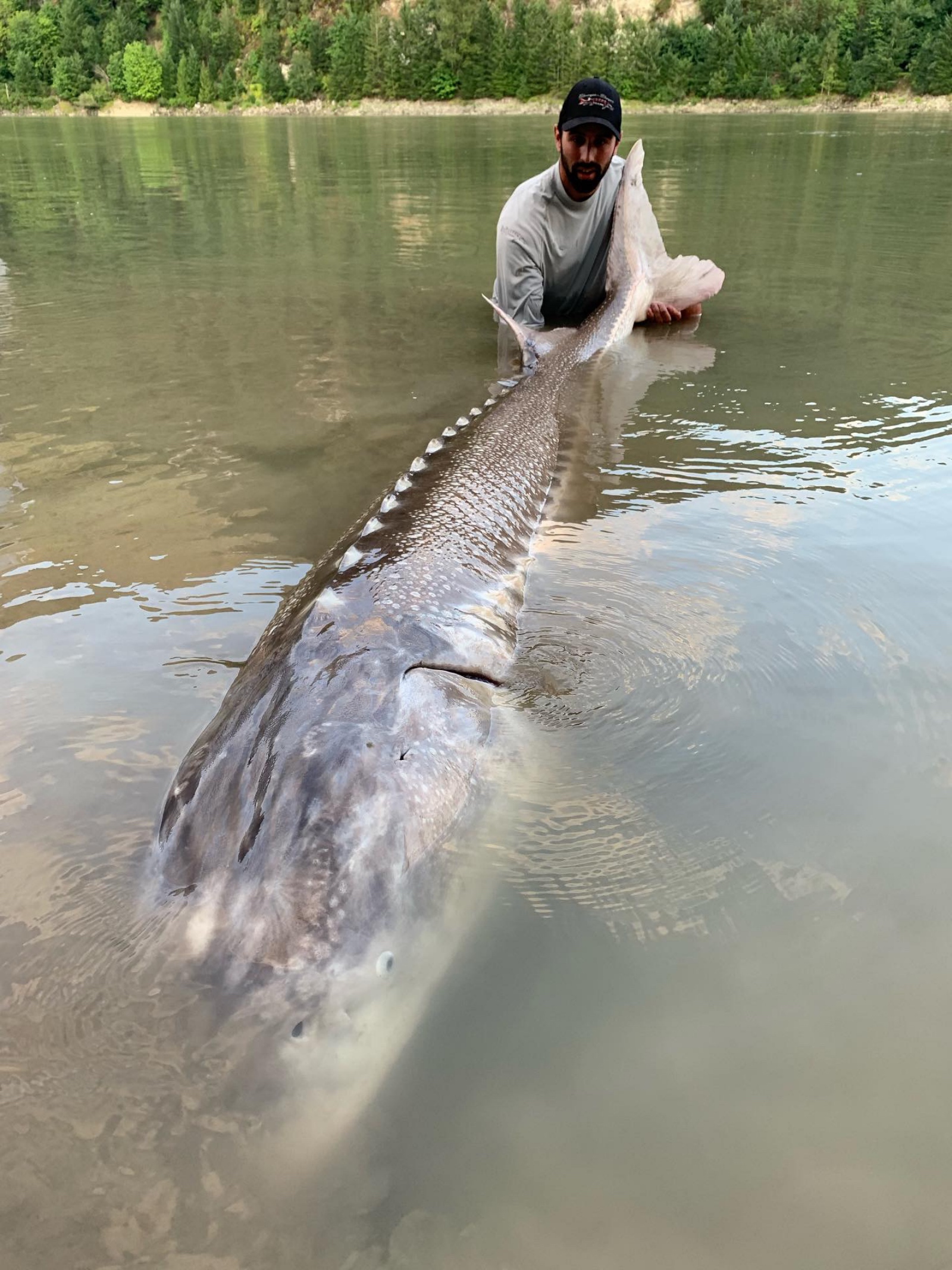 NHL Nick Leddy Caught A Massive Sturgeon Fishing In Canada