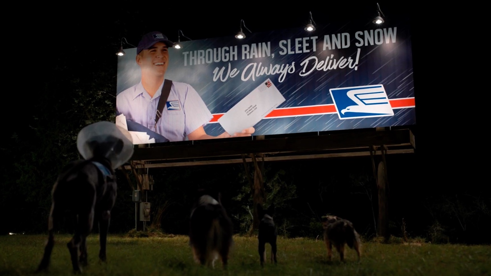 Dogs Curse The 'Devil In The Sky' In New 'Strays' Clip (Exclusive)