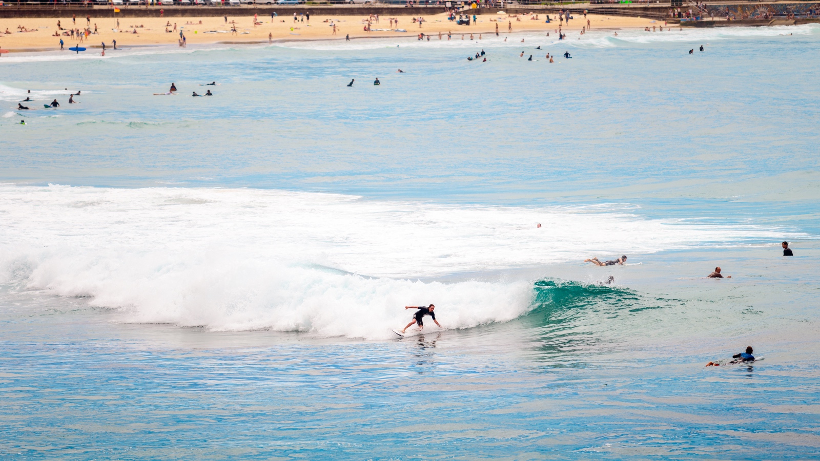 Australian Surfer Rides Wave With Shark On Surfboard